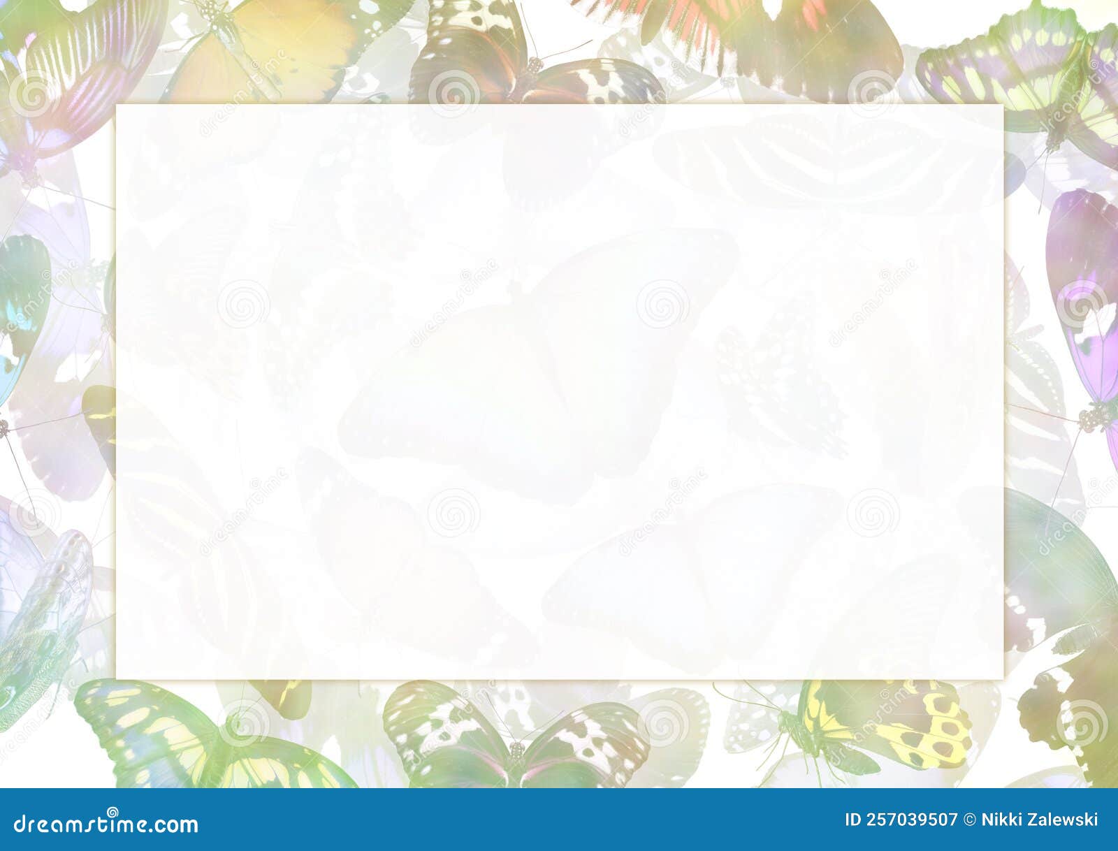 Busy Butterfly Collage Border Frame Stock Image - Image of central ...