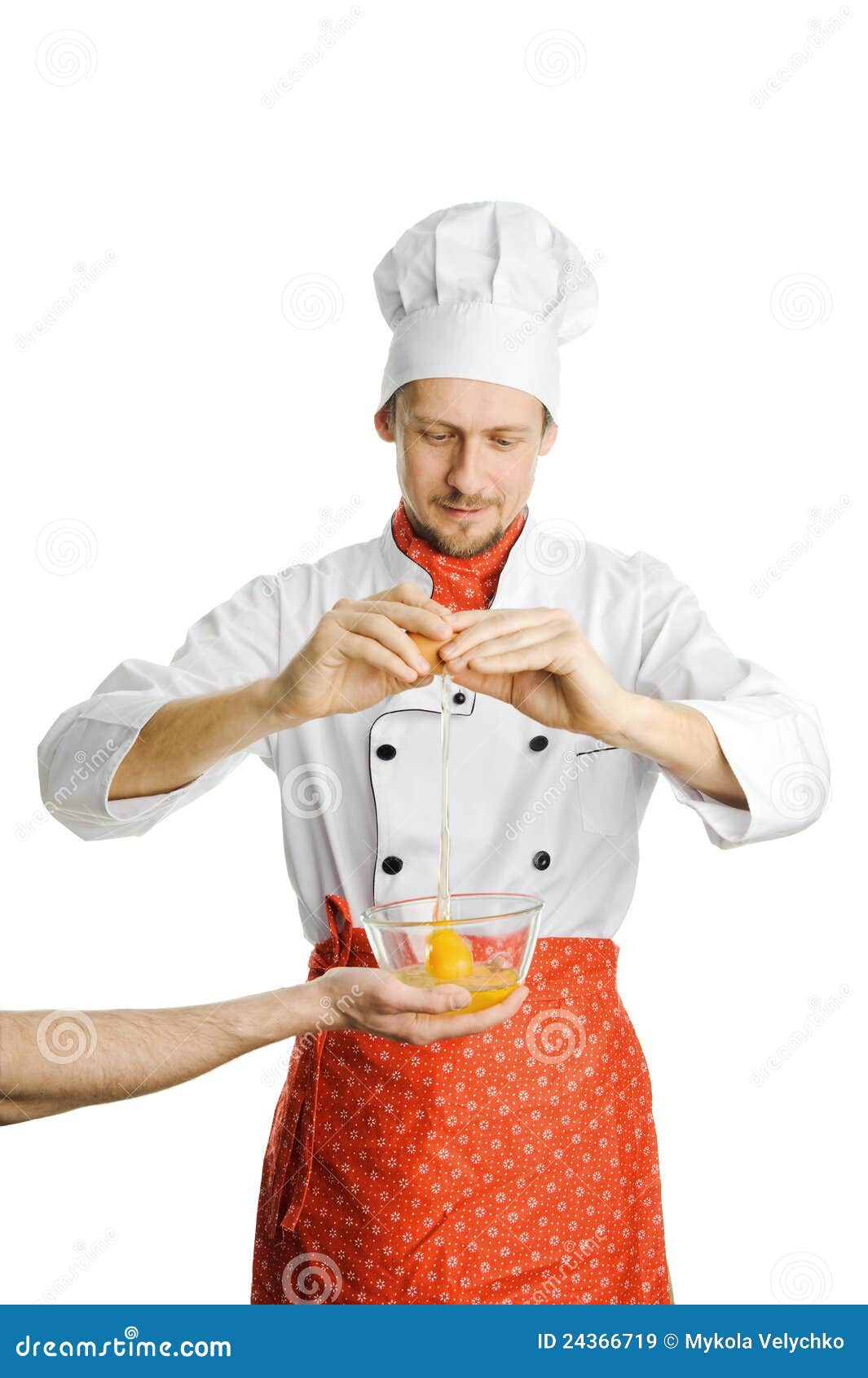 Busy chef stock image. Image of preparing, meal, interest - 24366719