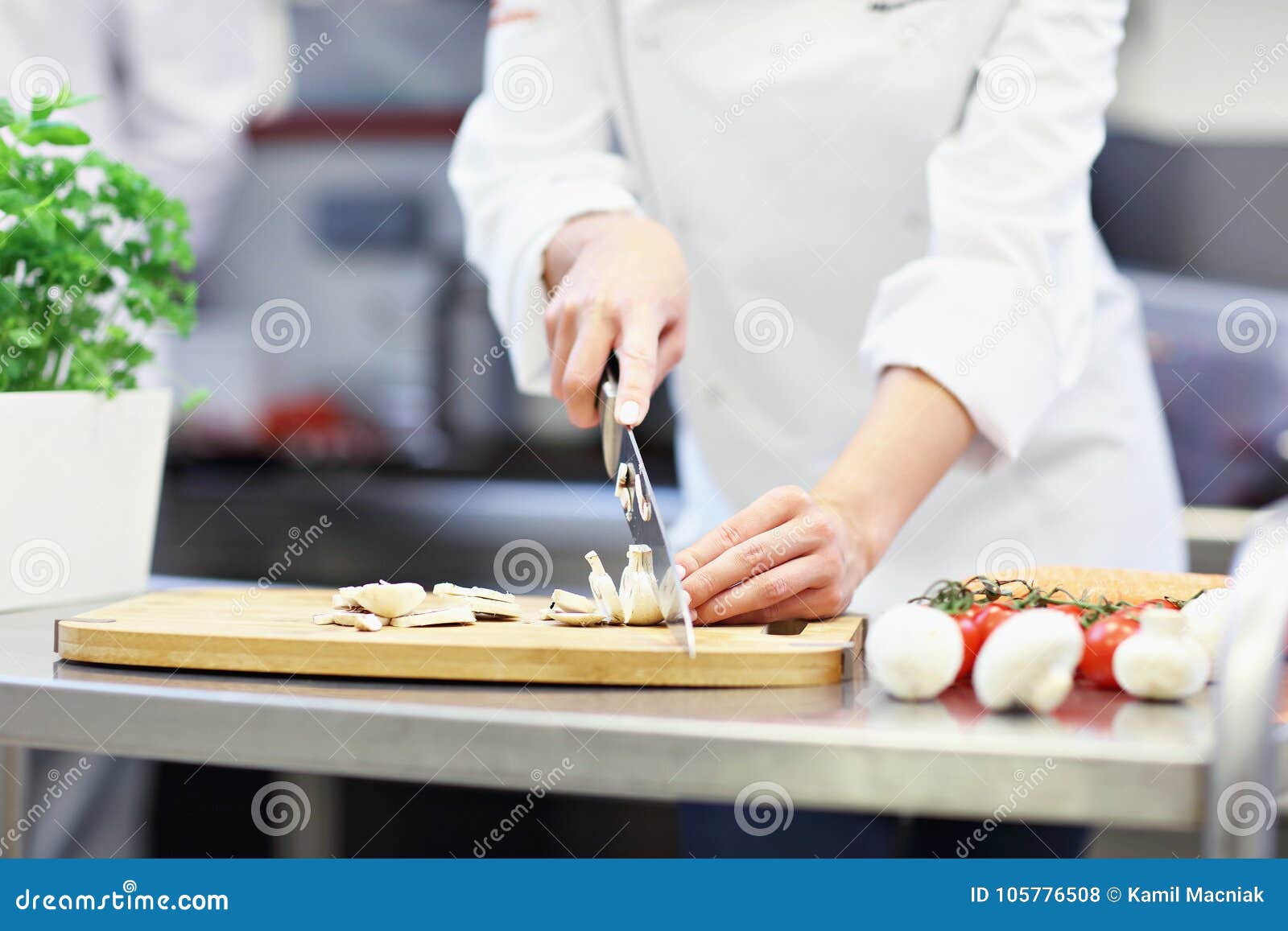 Busy Chef at Work in the Restaurant Kitchen Stock Photo - Image of ...