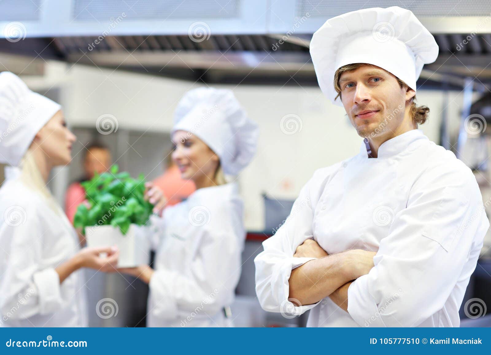 Busy Chefs at Work in the Restaurant Kitchen Stock Photo - Image of ...