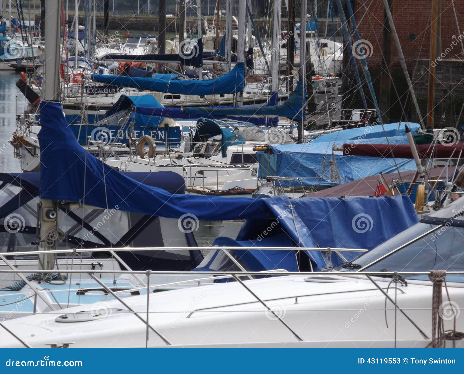 Busy harbour editorial stock photo. Image of autumn, morning - 43119553