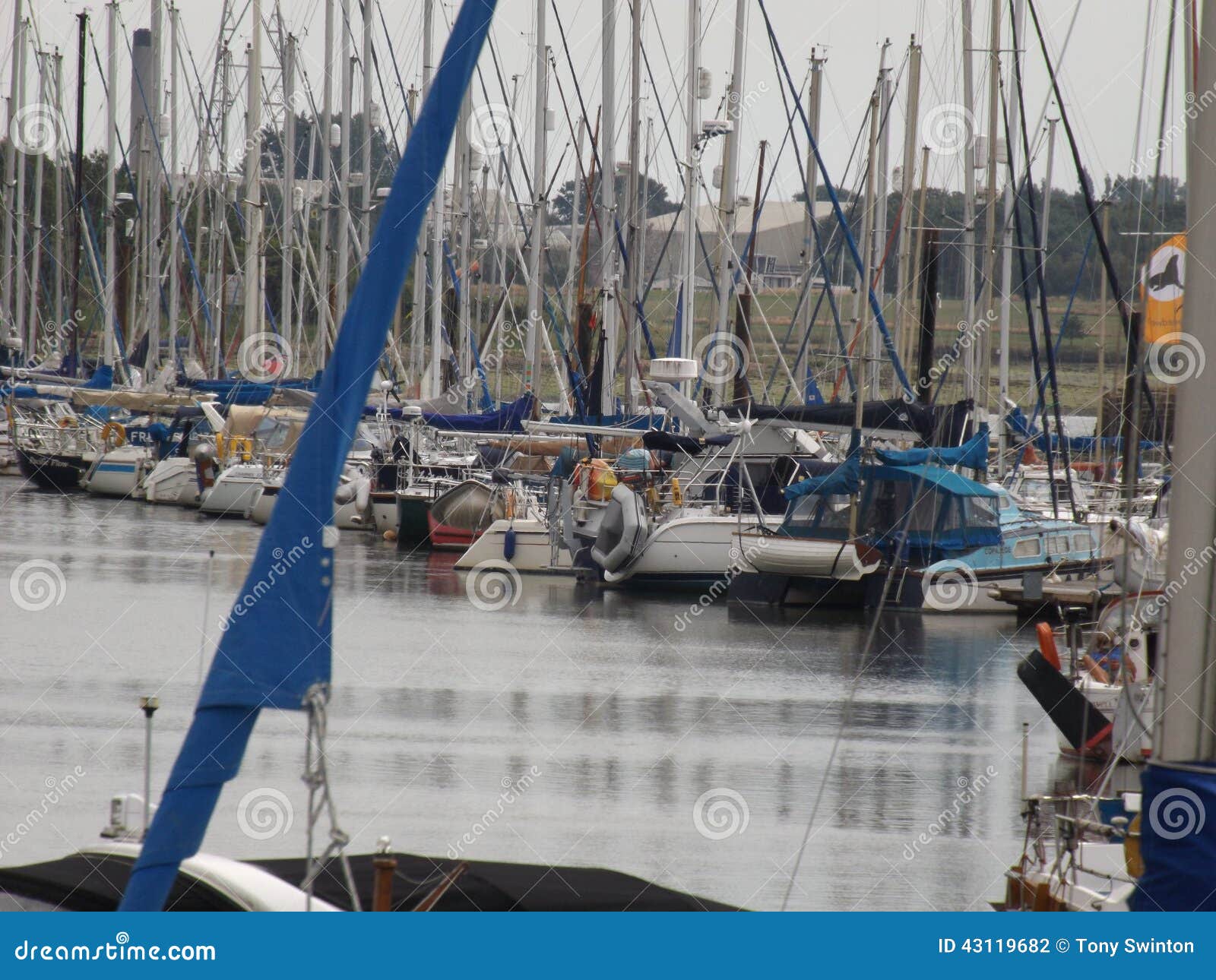 Busy harbour editorial photography. Image of colorful - 43119682