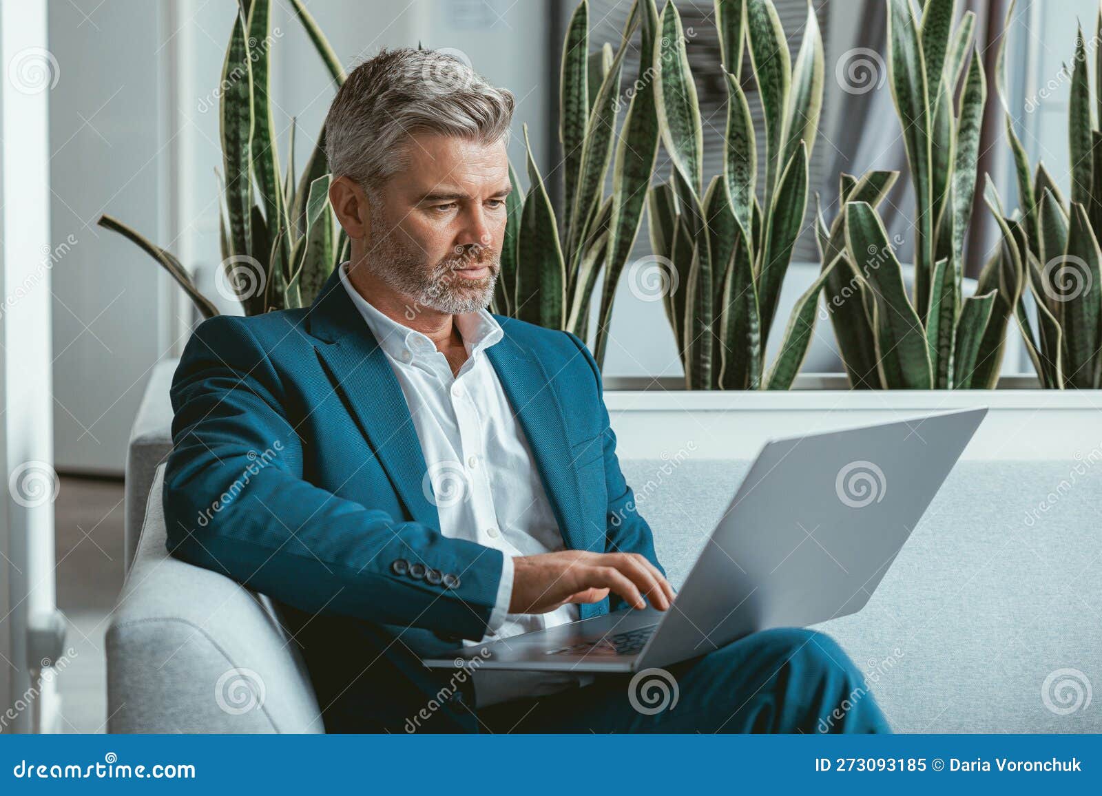 Busy Mature Businessman Workingon Laptop while Sitting in Modern ... Busy Mature Businessman Workingon Laptop while Sitting in Modern ...