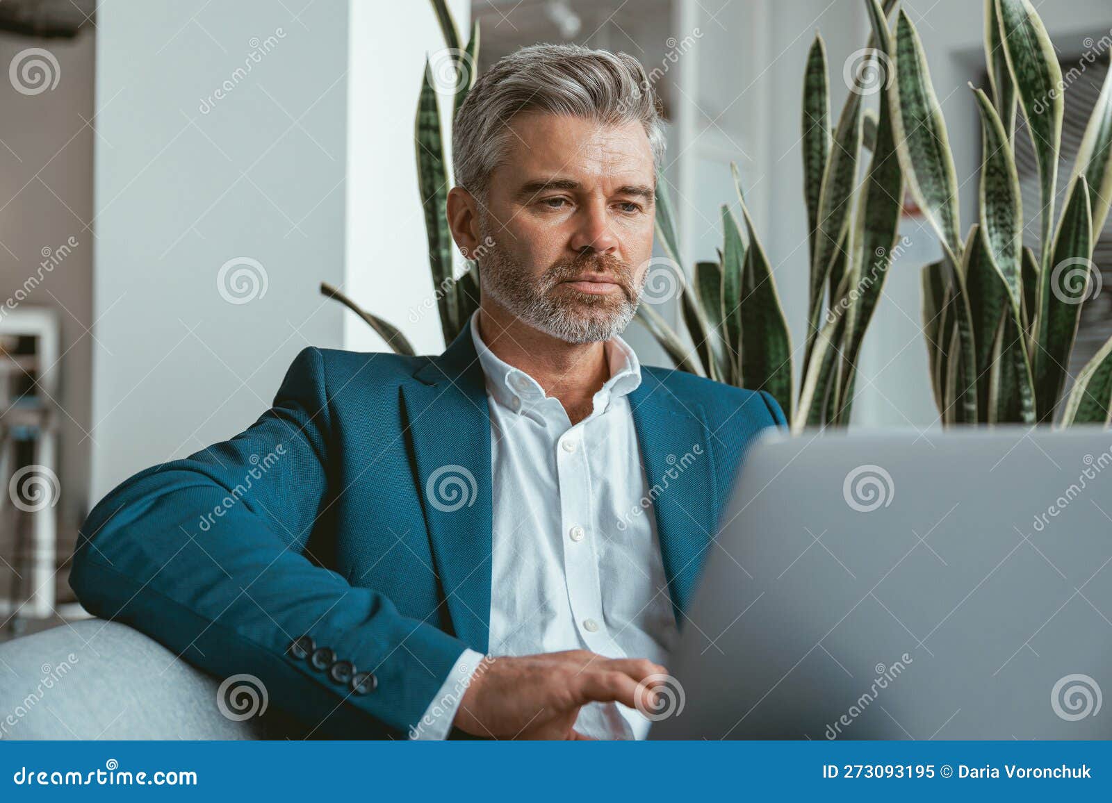 Busy Mature Businessman Workingon Laptop while Sitting in Modern ... Busy Mature Businessman Workingon Laptop while Sitting in Modern ...