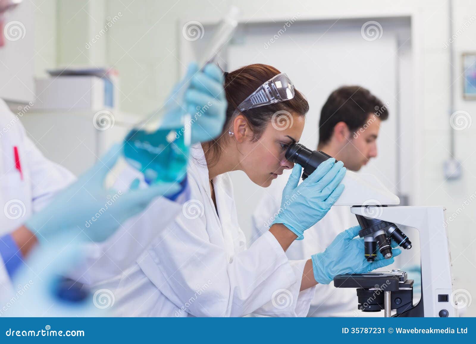 Busy Researchers Working on Experiments in Lab Stock Image - Image of ...