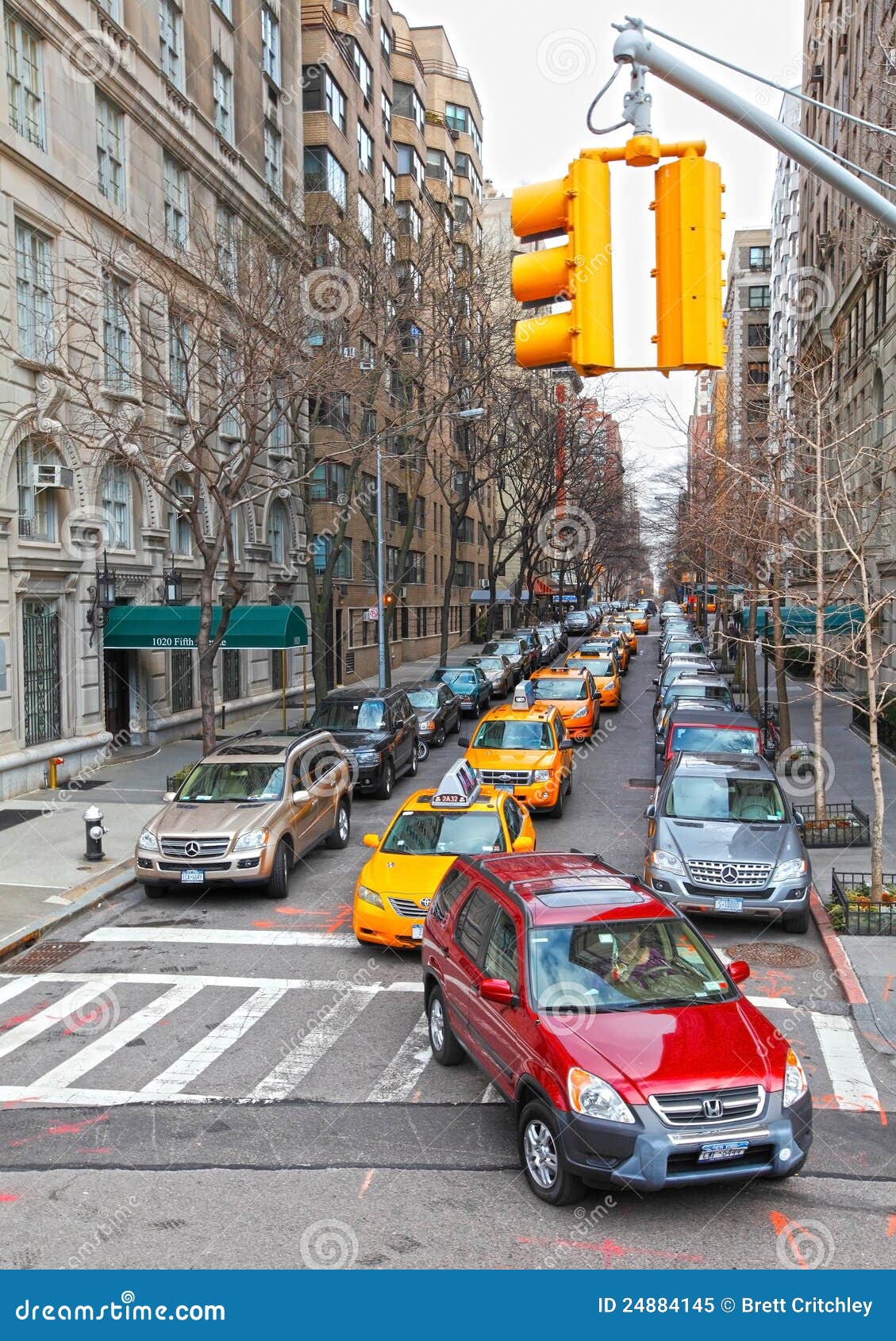 Busy Traffic At Boulevard With Cassia Fistula Flower Tree Blooms ...