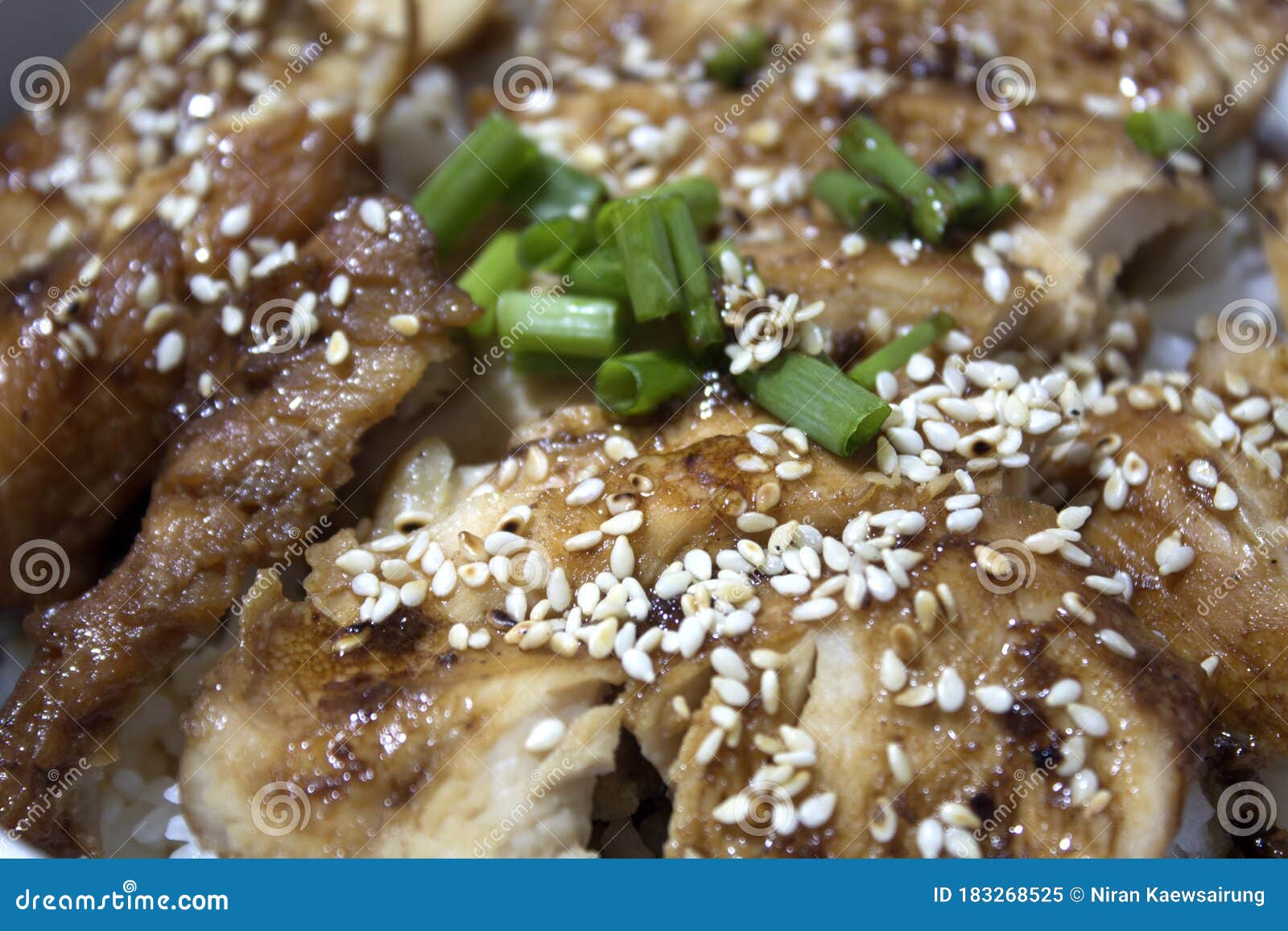 Buta don, Pork rice bowl stock image. Image of culture - 183268525