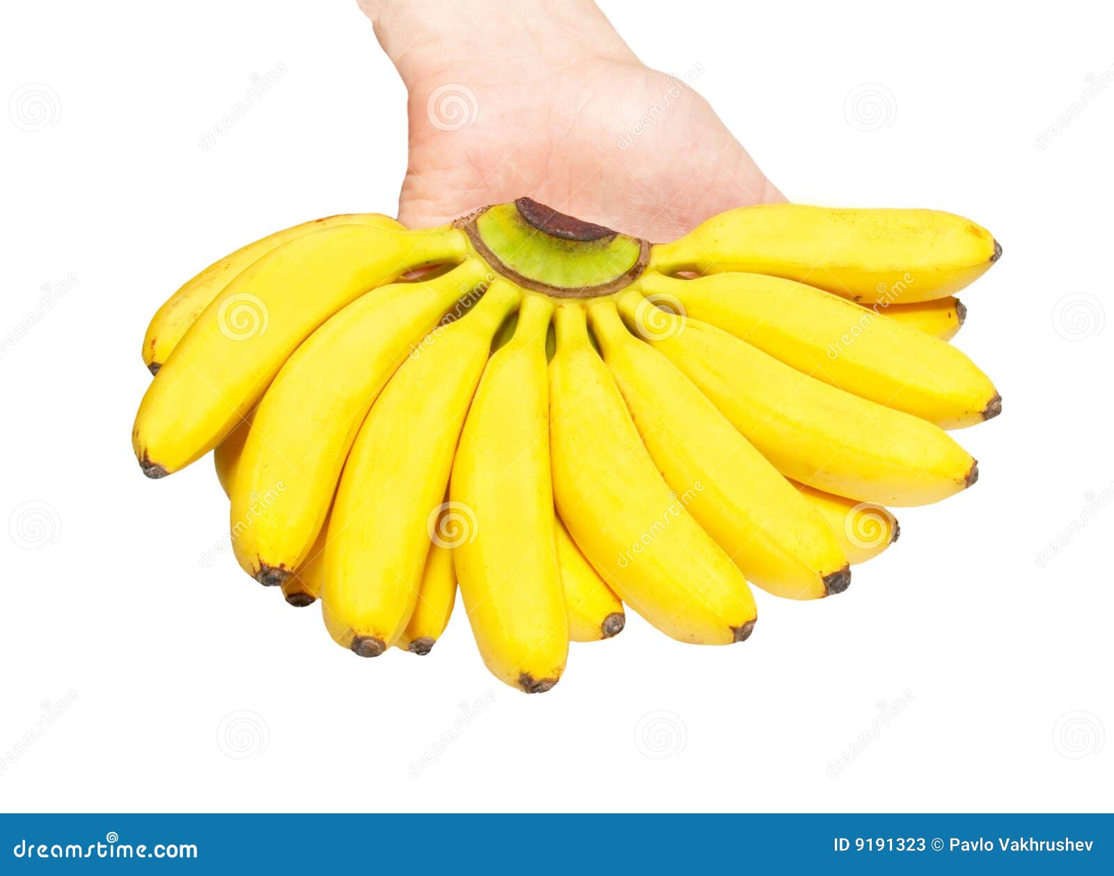 Of small bananas stock image. Image of juicy, healthy - 9191323