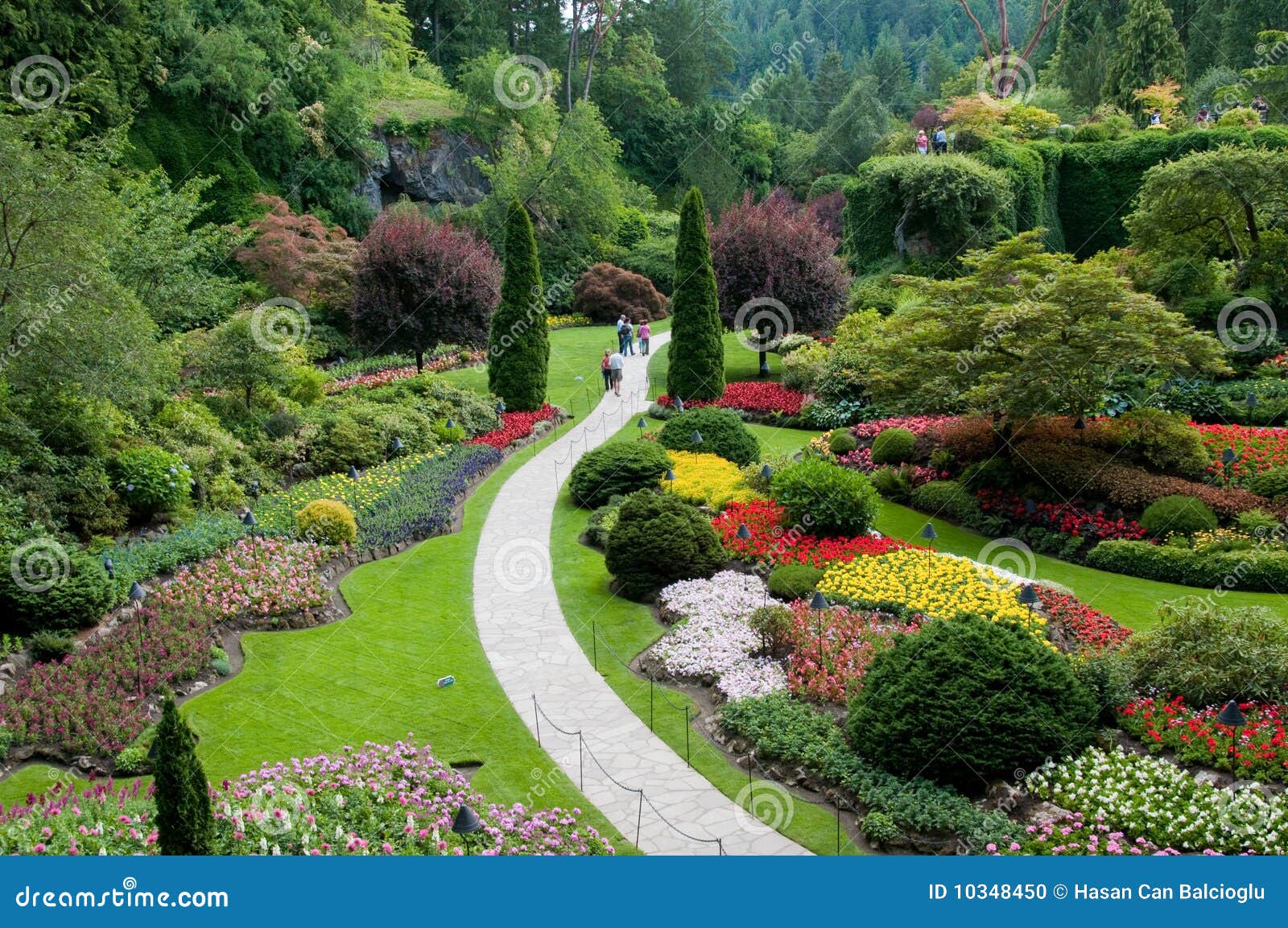 Butchart Gardens - Sunken Garden View Stock Photo - Image of beauty ...