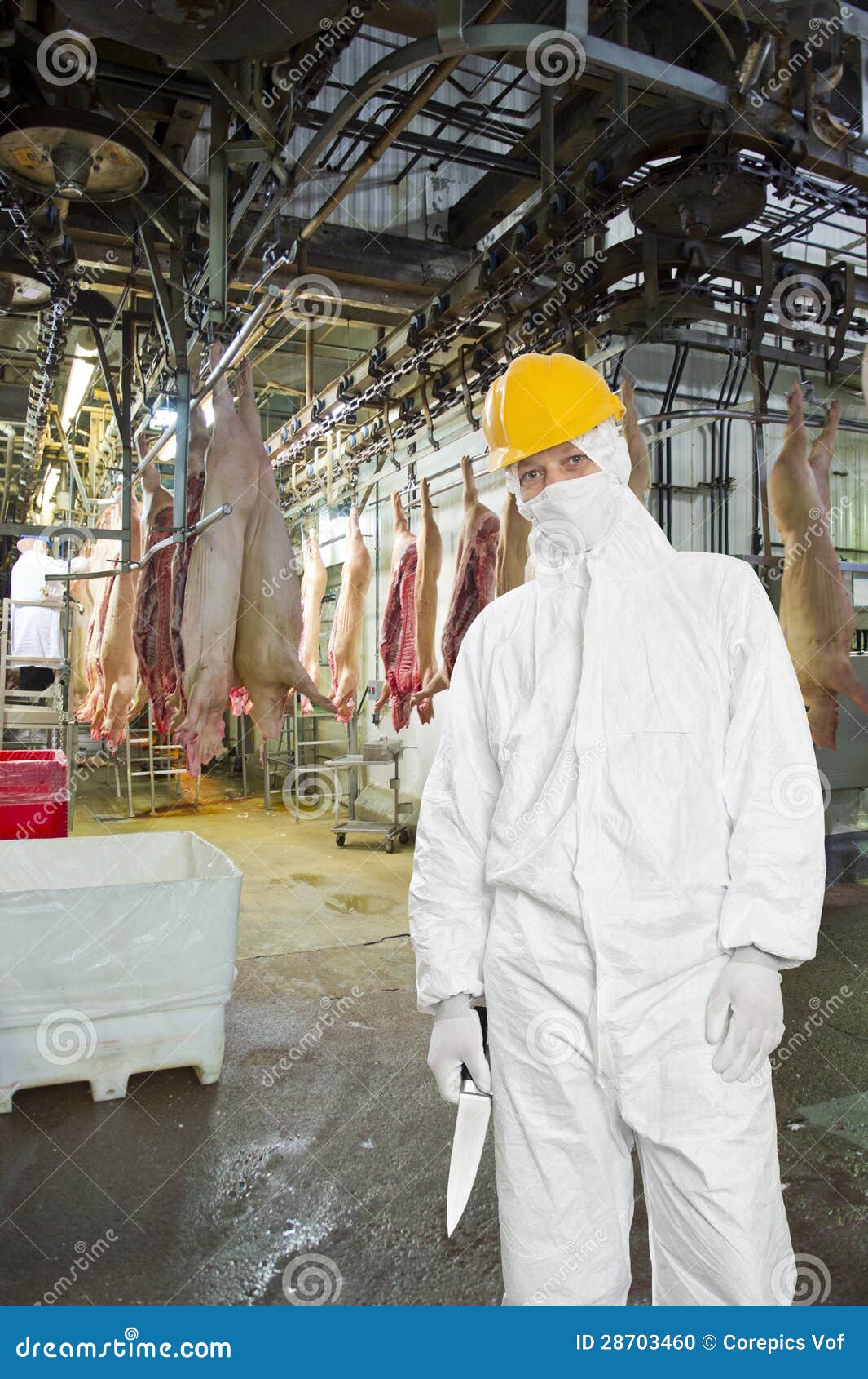 Butcher stock photo. Image of industry, knife, degutted - 28703460