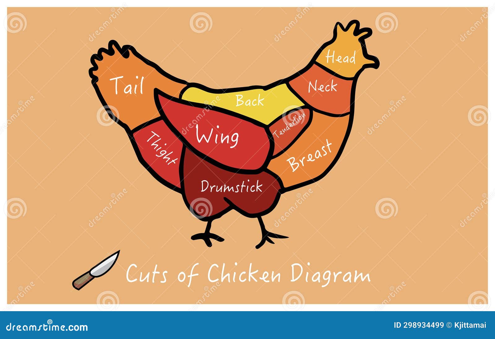 Butcher Cut Main Primal Cuts of Chicken Stock Illustration ...