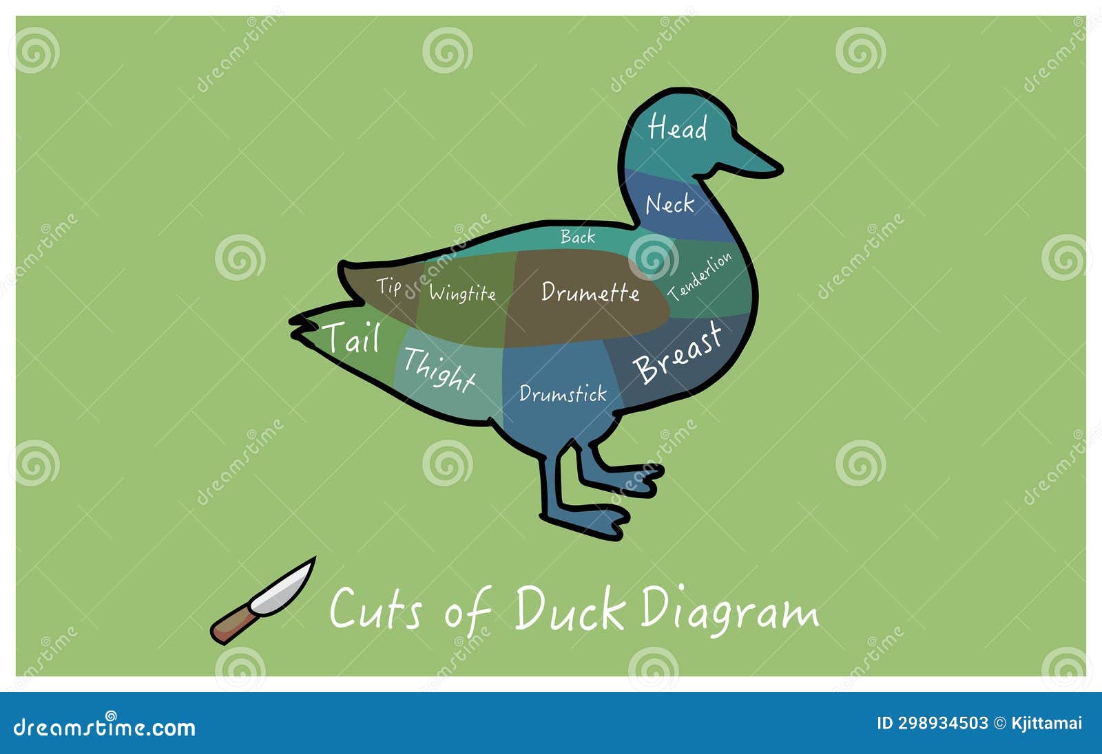 Butcher Cut Main Primal Cuts of Duck Stock Illustration - Illustration ...