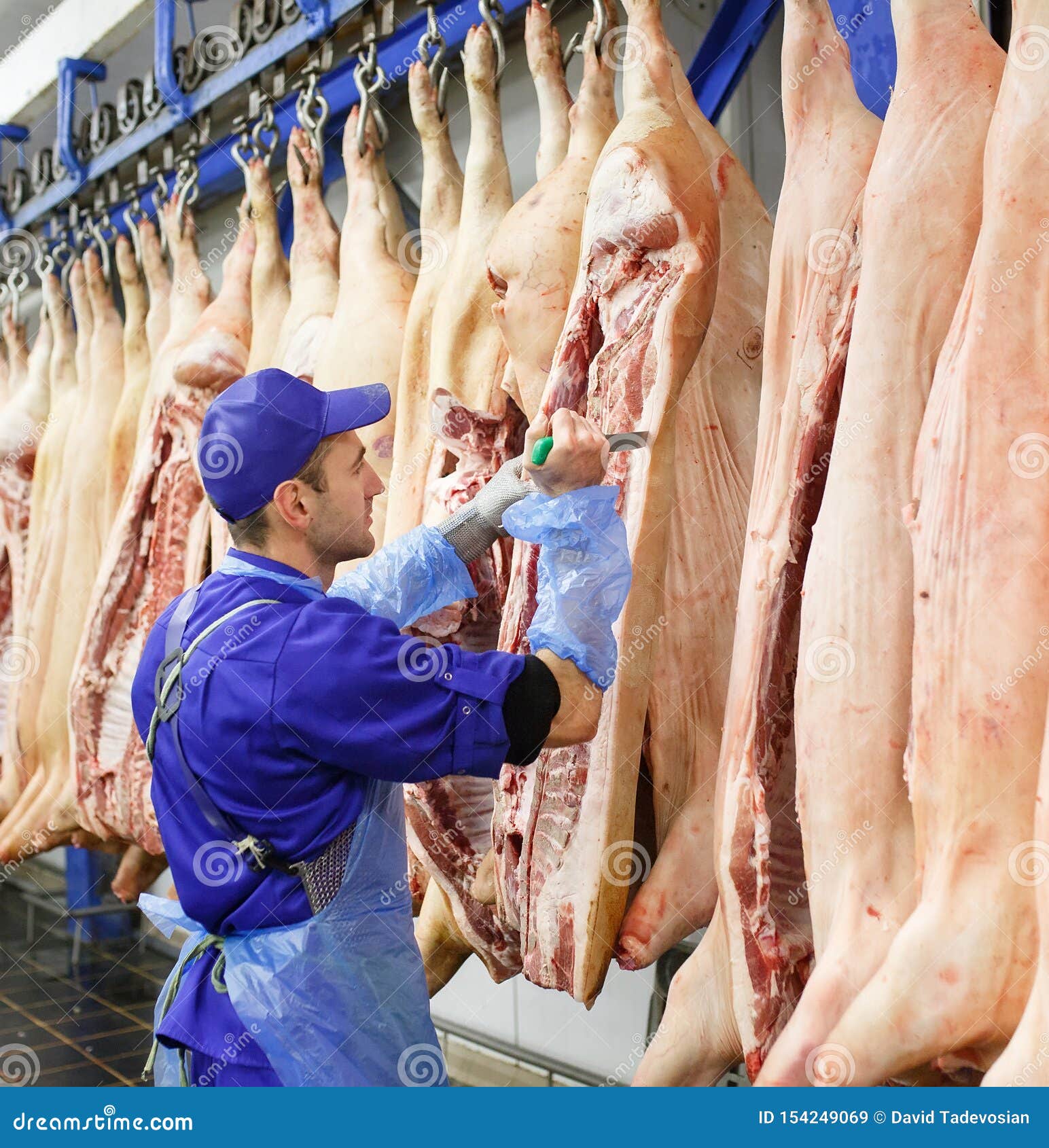 Butcher Cutting Pork at the Meat Manufacturing. Stock Image - Image of ...
