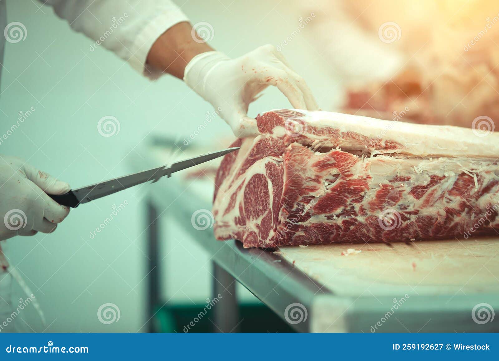 The Butcher Cutting Wagyu Beef in Slaughterhouse Stock Image - Image of ...