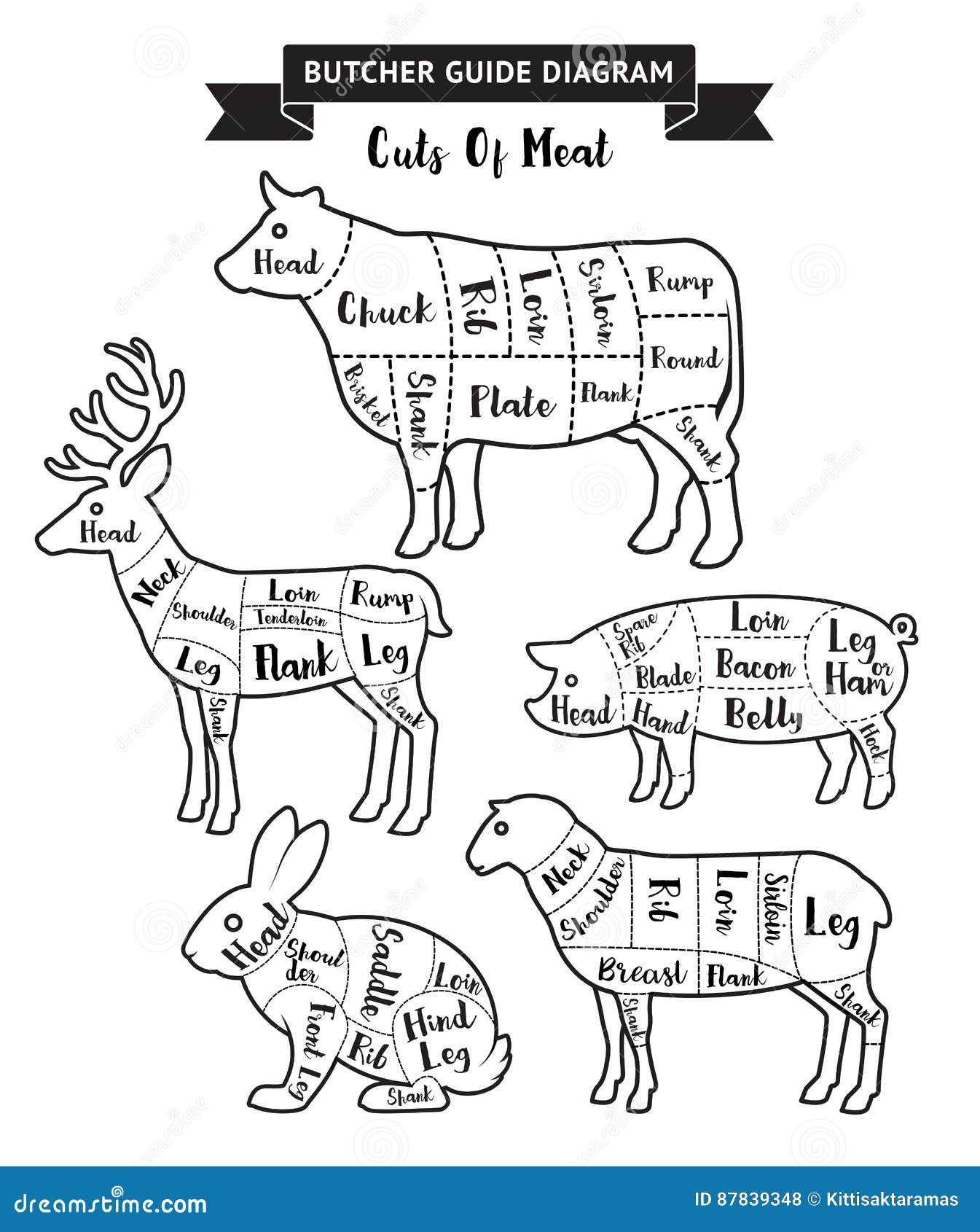 Butcher Guide Cuts of Meat Diagram. Stock Vector - Illustration of ...