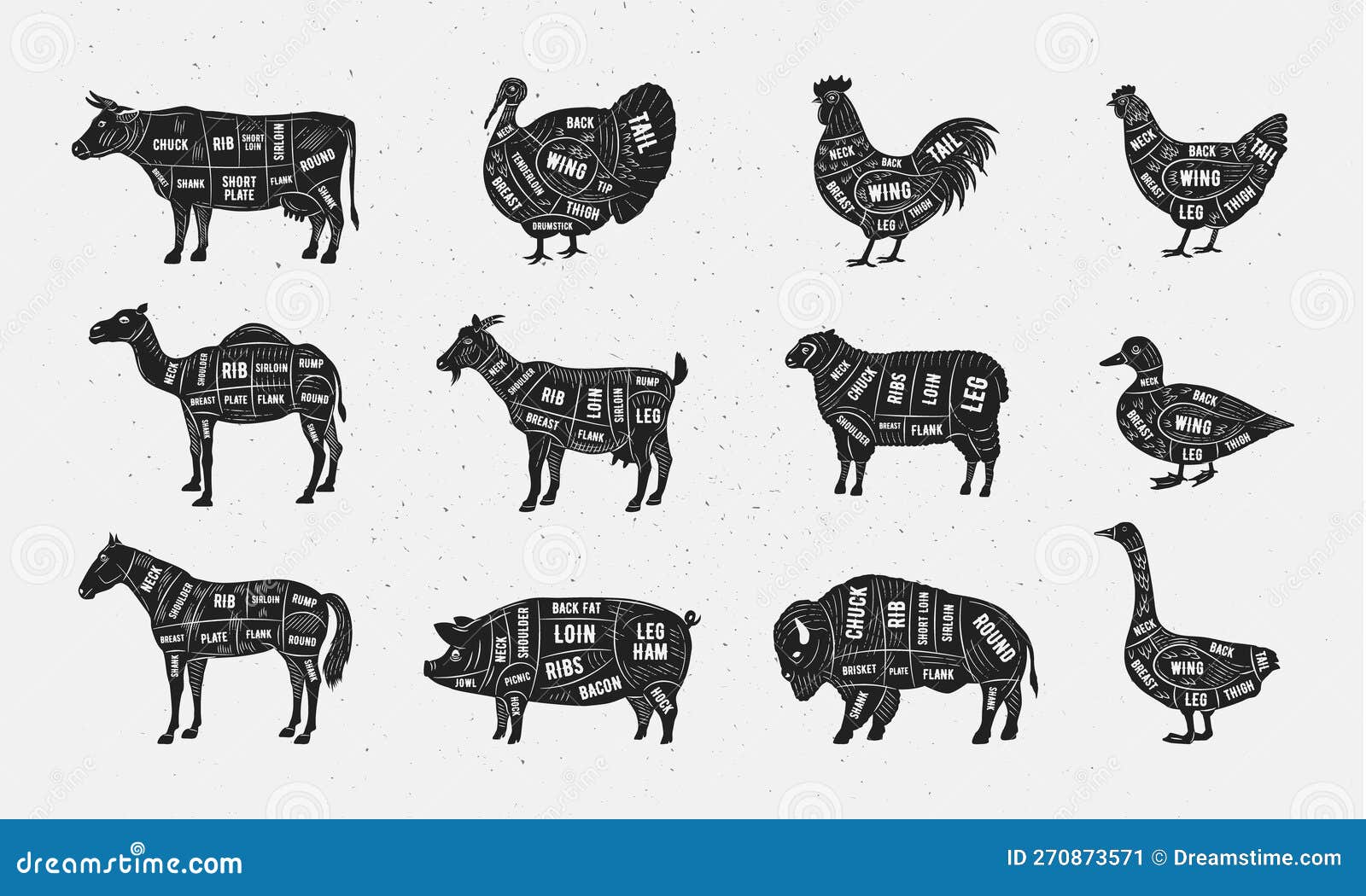 Butcher Meat Cuts Set Butcher S Posters Design Stock Vector Illustration Of Bull Duck 270873571