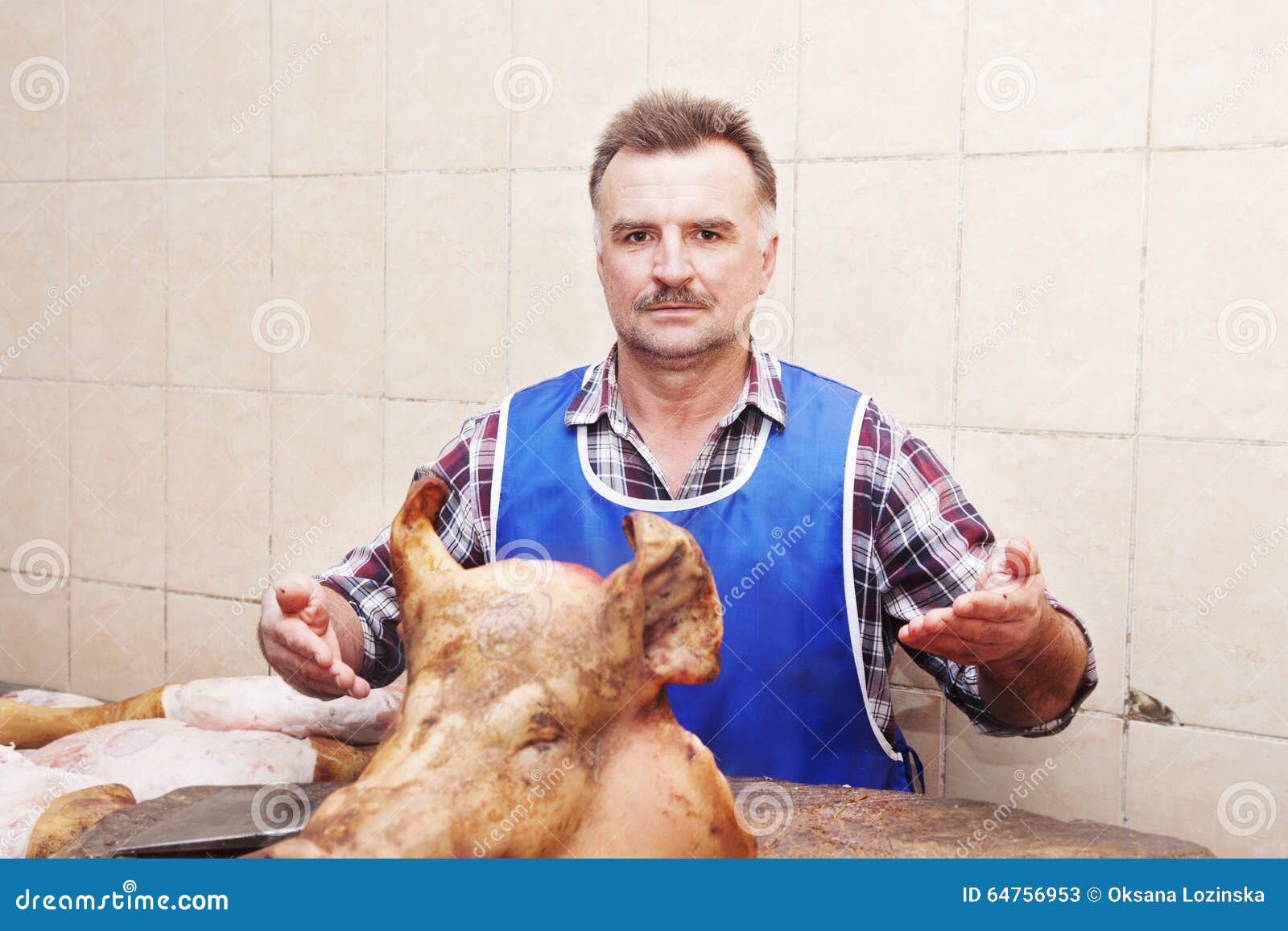 Butcher and meat stock image. Image of meat, people, fresh - 64756953