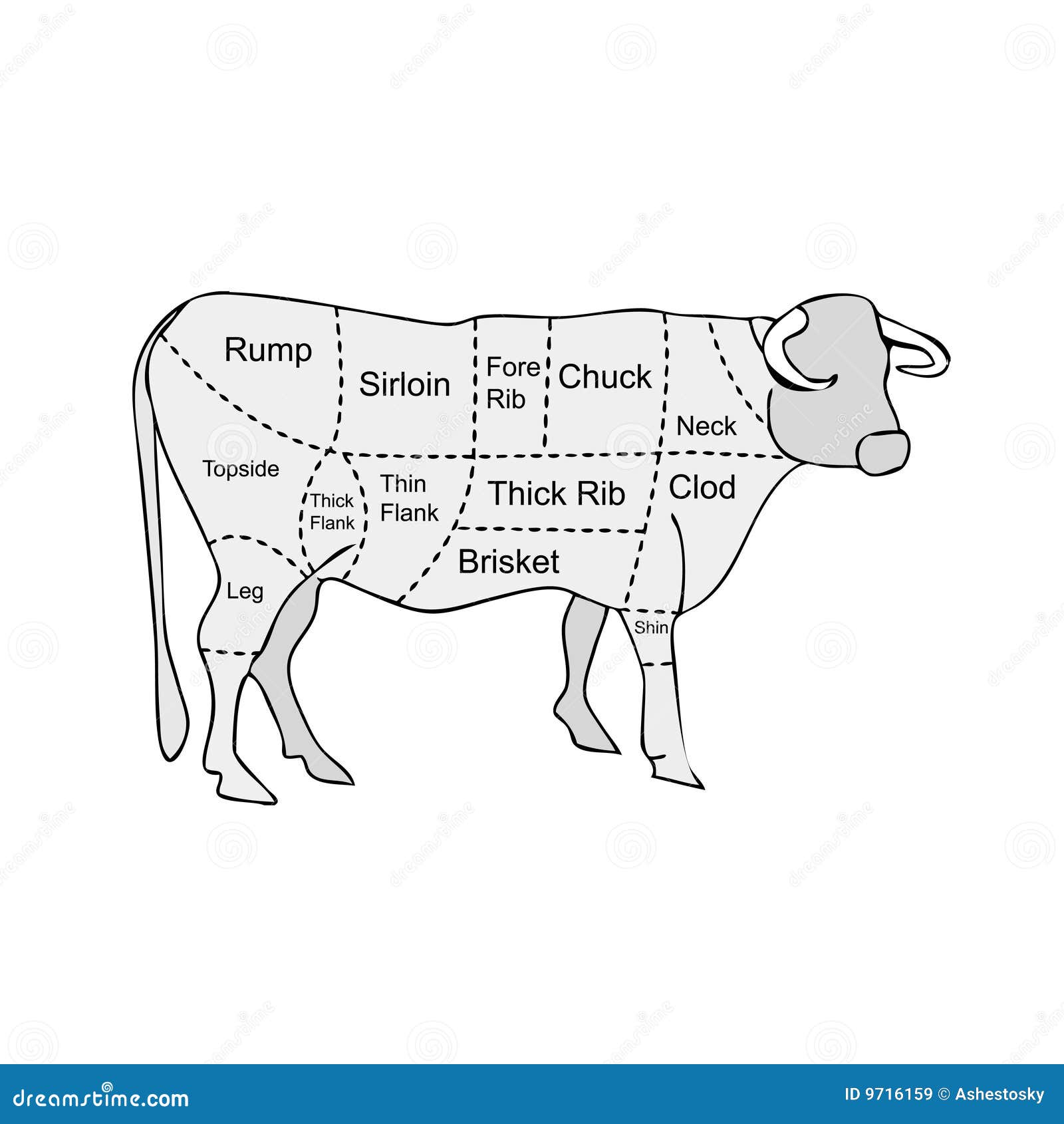 Butcher Meat Sections of Cow Stock Vector - Illustration of farm ...