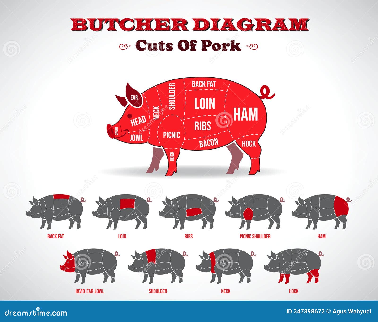 Set Illustration of Butcher Diagram of Pork Cuts Stock Vector ...