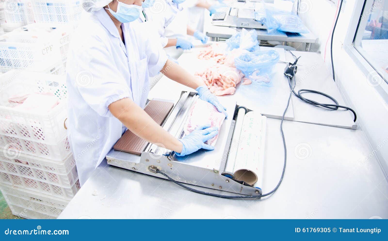 Butcher wrapping meat stock image. Image of selling, security - 61769305