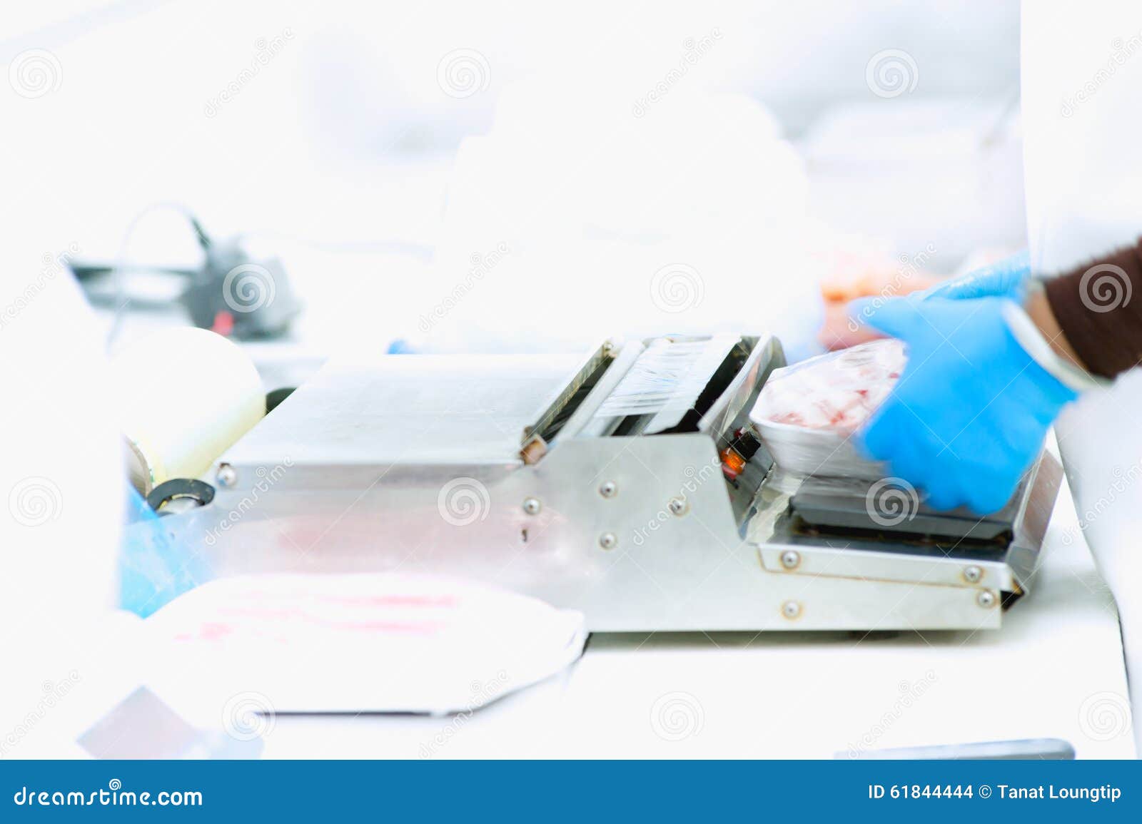 Butcher wrapping meat stock photo. Image of ingredient - 61844444