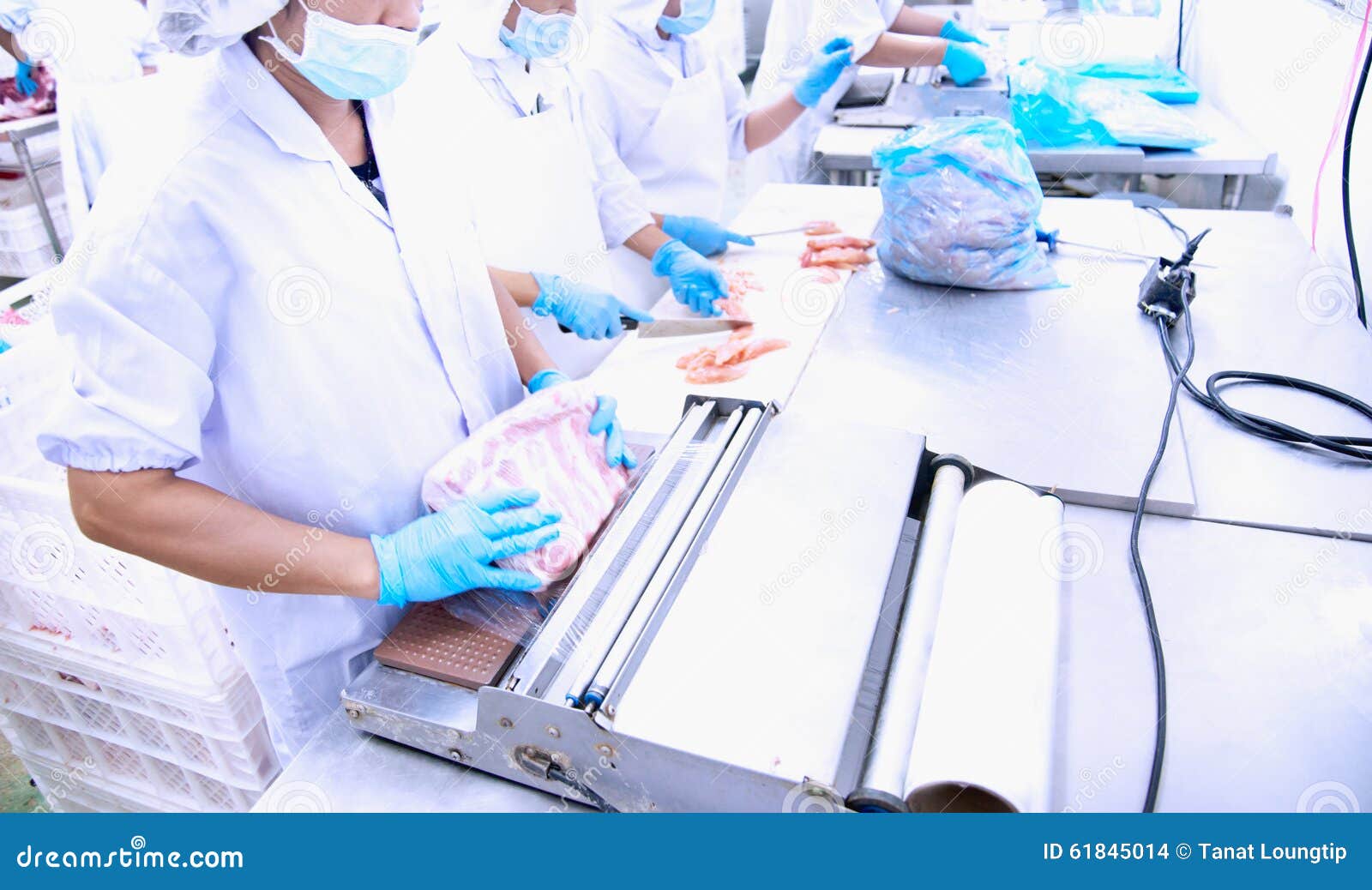 Butcher wrapping meat stock photo. Image of meat, cook - 61845014