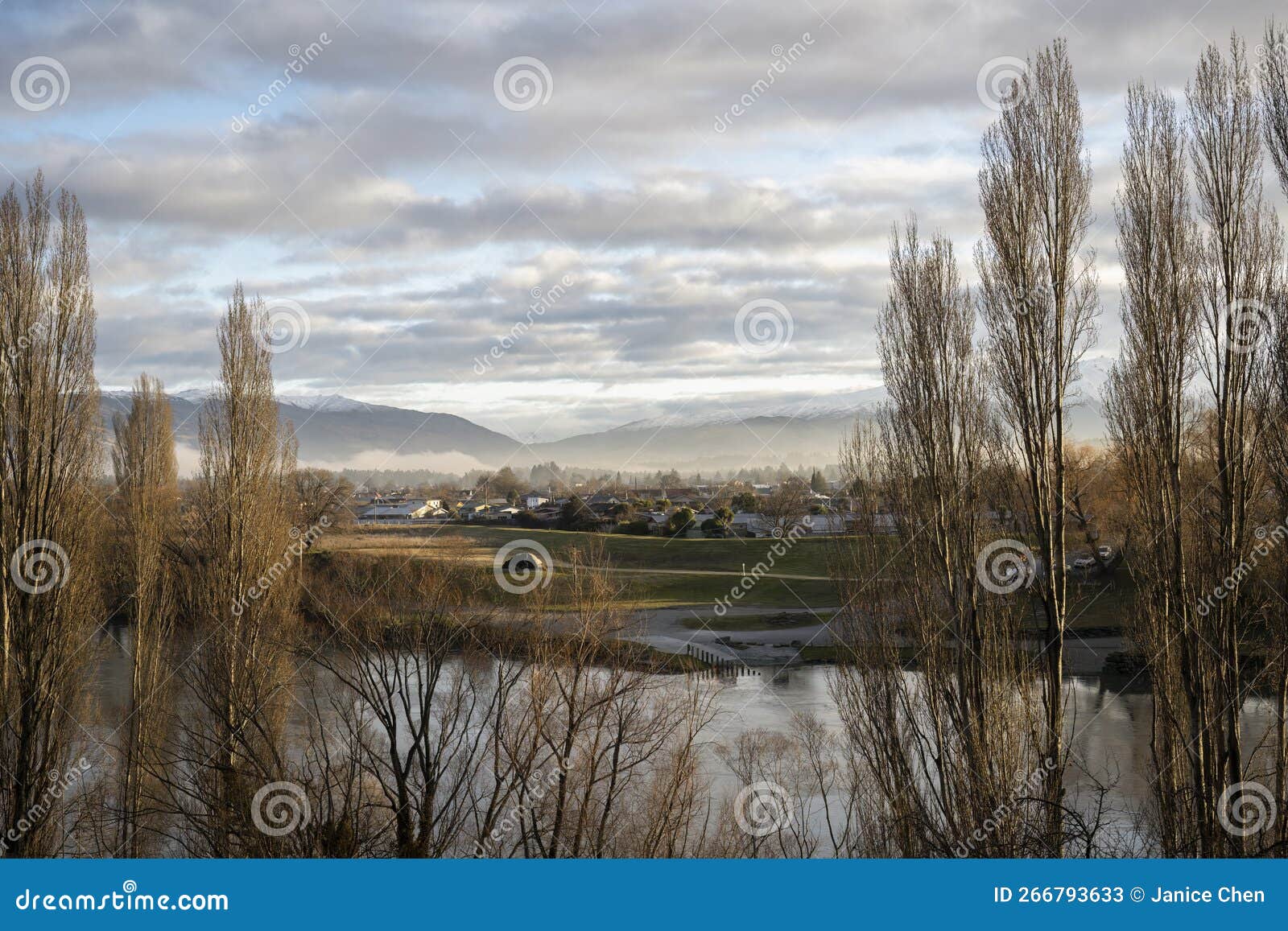 Butchers Dam Framed by Trees in Winter. Alexandra, Central Otago Stock ...