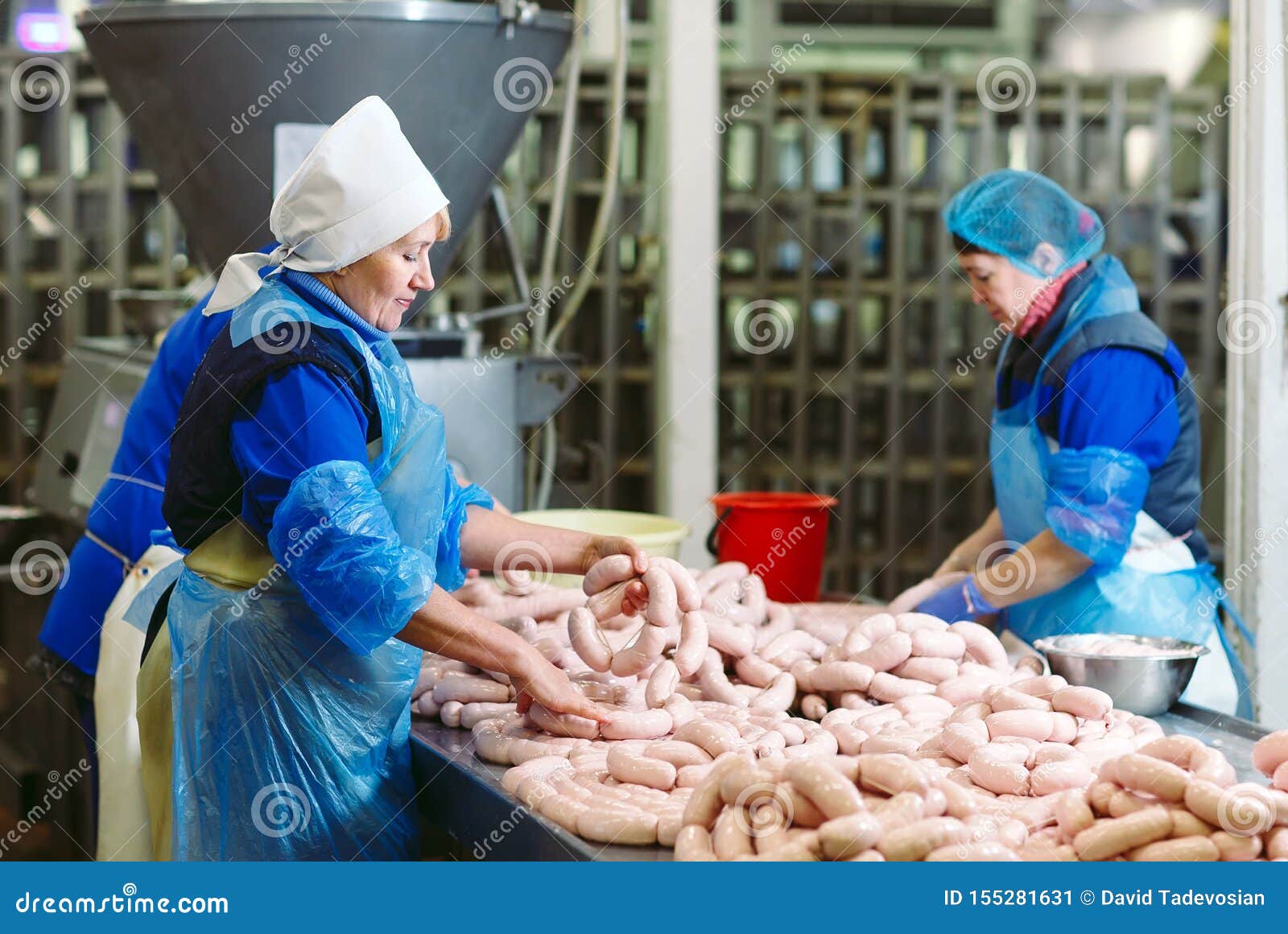Butchers Processing Sausages at the Meat Factory. Stock Image - Image ...