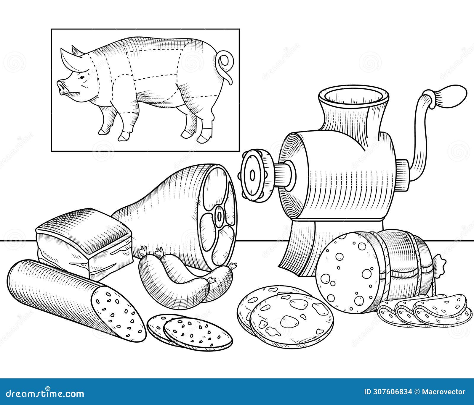Butchery Illustration in Hand Drawn Style Stock Illustration ...