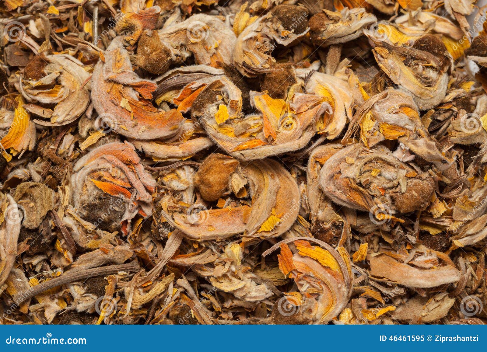 Butea Monosperma, Teak, Bengal Kino, Flame Of The Forest And Erythrina ...