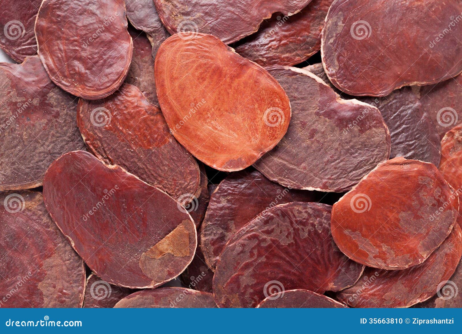 Butea Monosperma Or Palash Flower On White Background. Plaso Monosperma ...