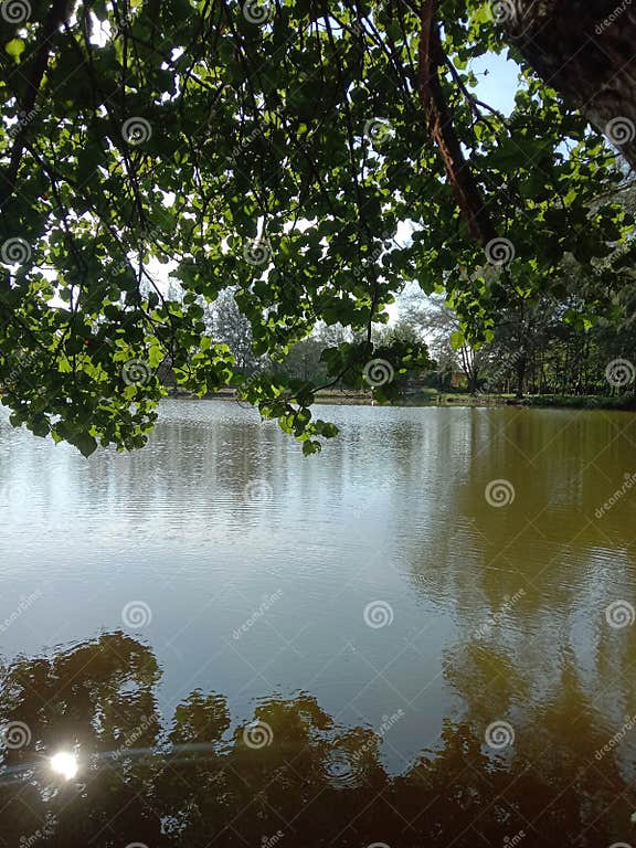 Buterf is another stock image. Image of nature, waterway - 280863191