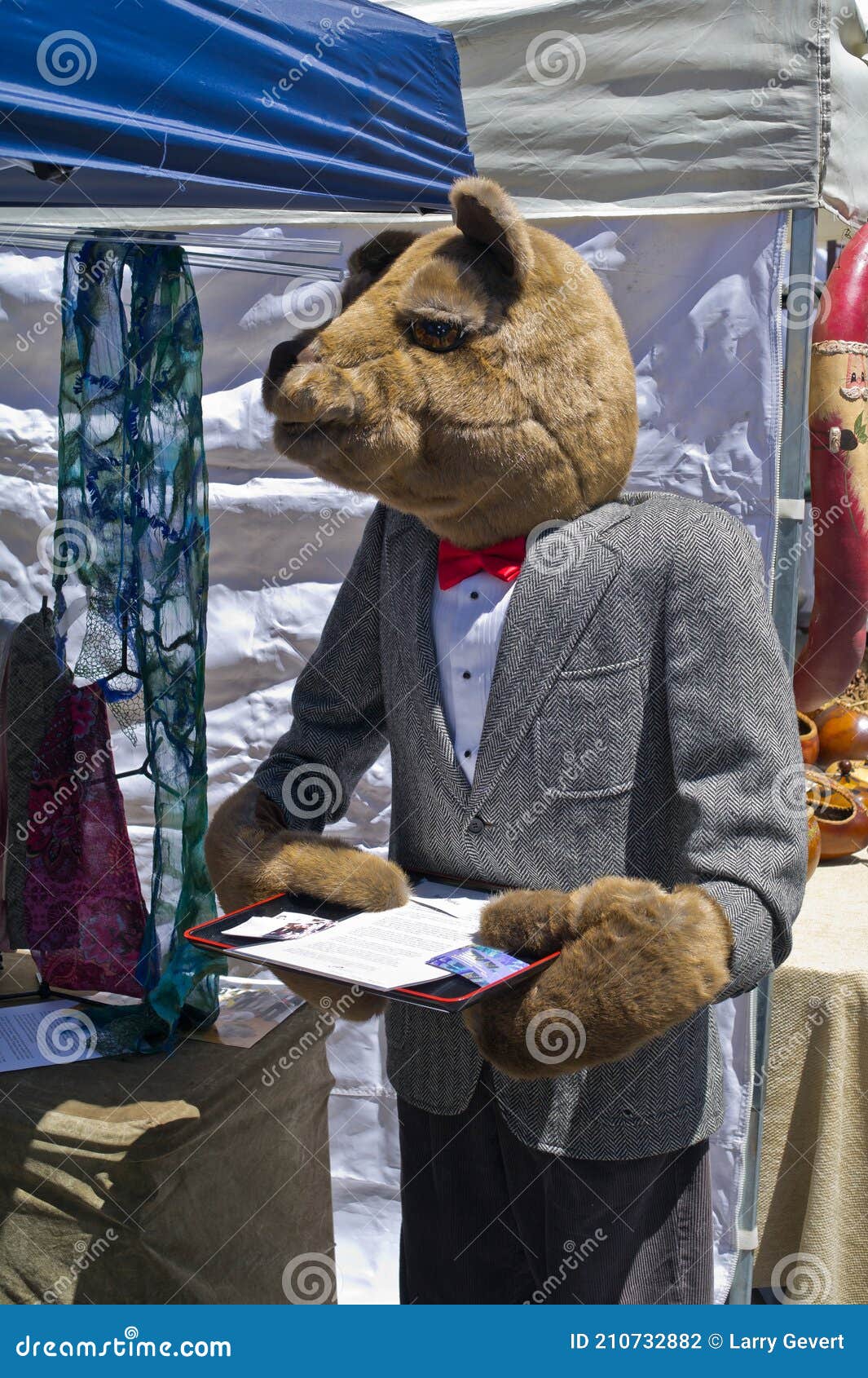 Butler Bear at Silent Auction Editorial Photography - Image of mustache ...