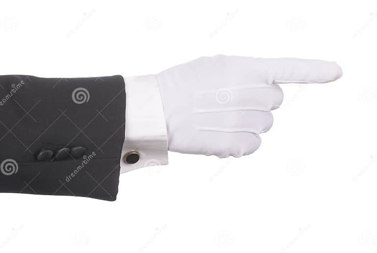 Butler Pointing stock image. Image of hospitality, gentleman - 14102559