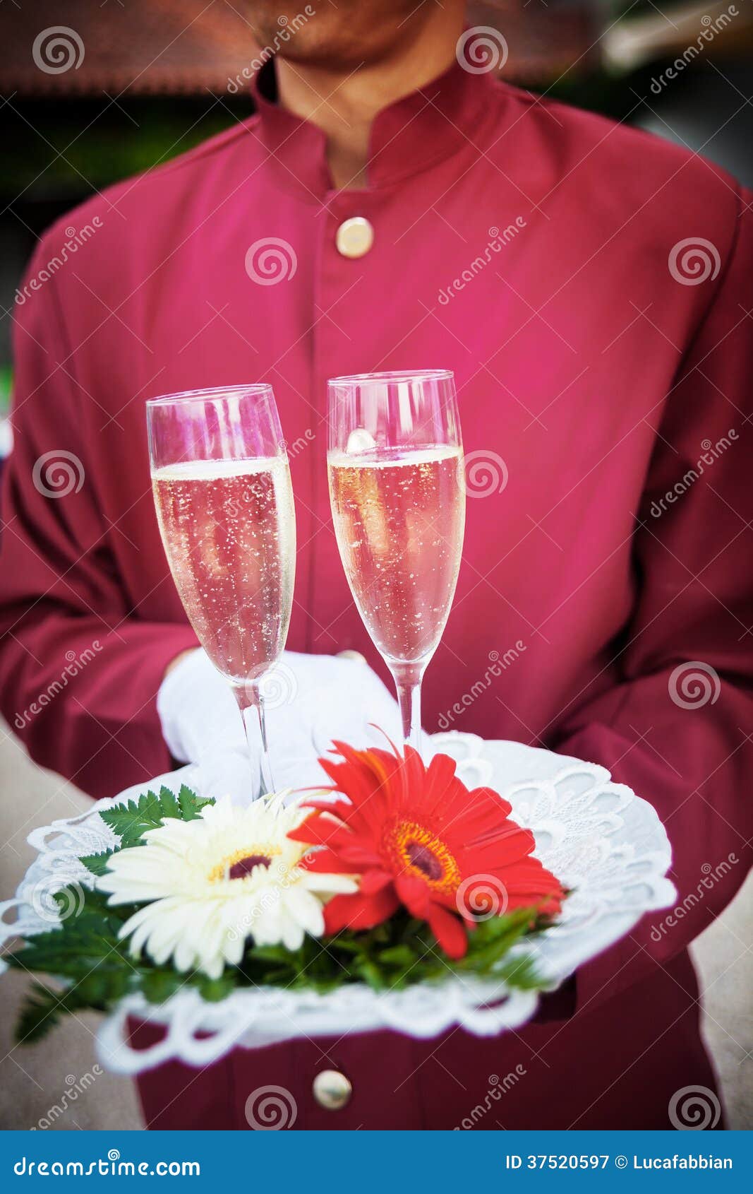 Butler serving stock image. Image of events, luxury, serving - 37520597