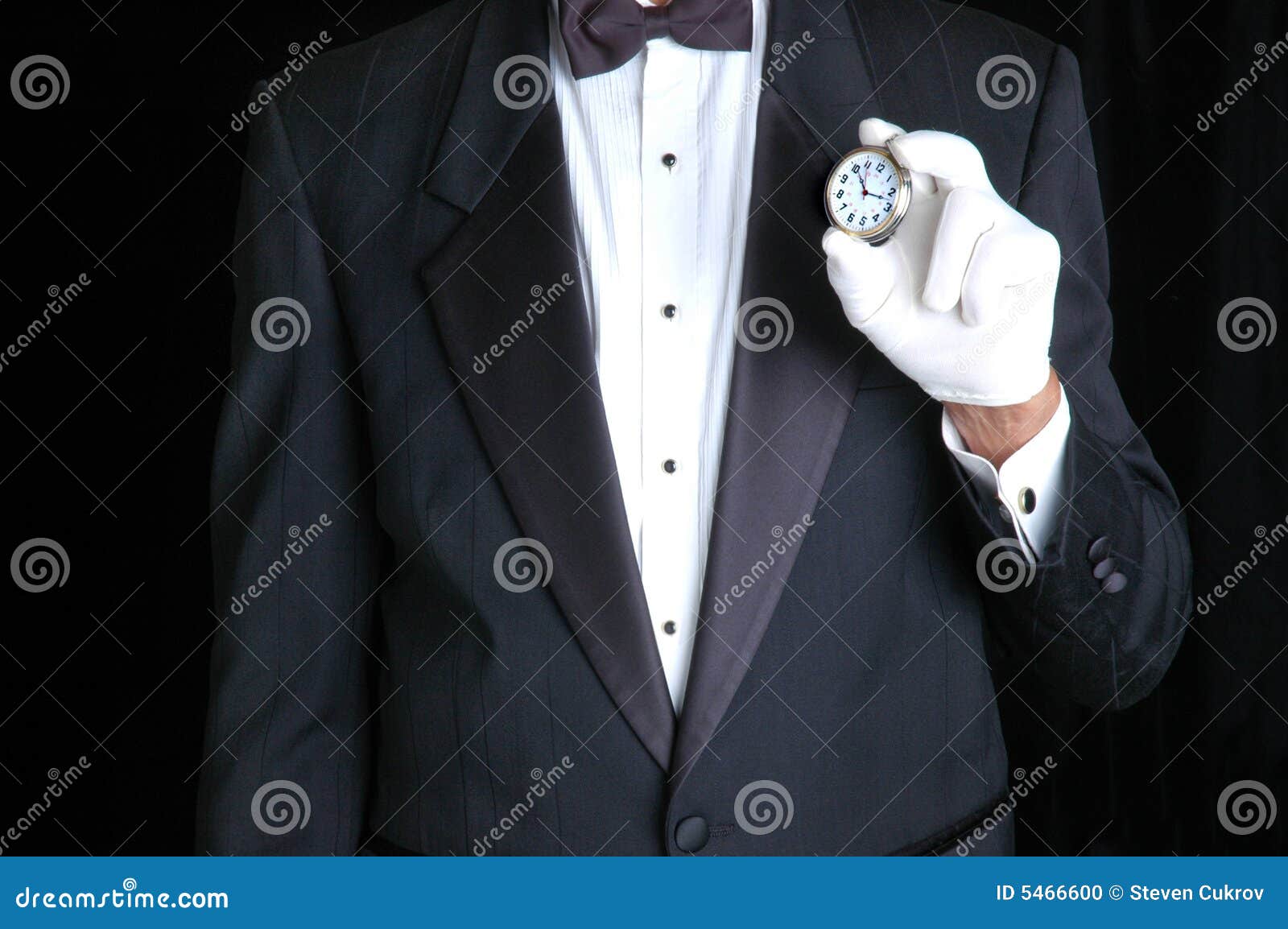 Butler with Watch stock photo. Image of jacket, butler - 5466600