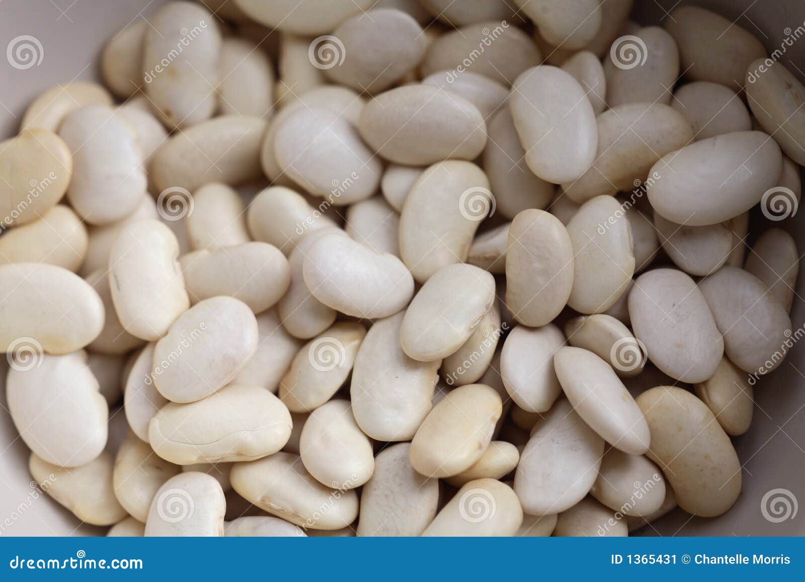 Butter Beans 1 stock image. Image of pulse, close, diet - 1365431
