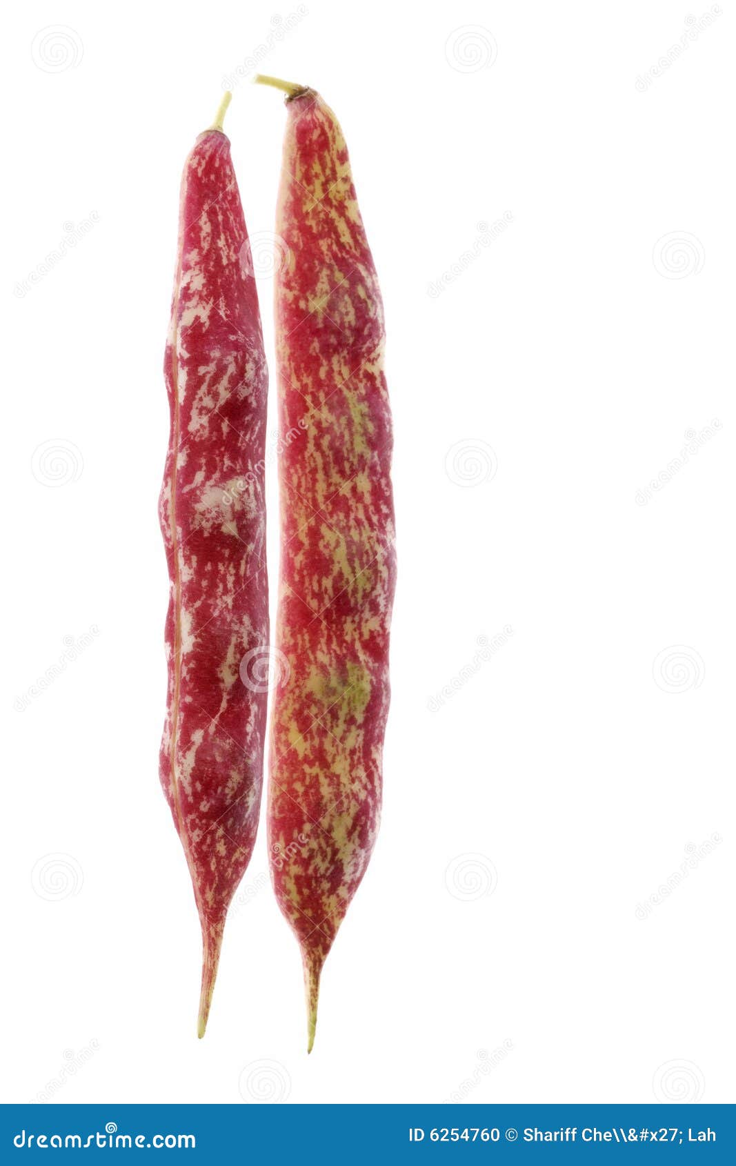 Butter Beans Isolated stock photo. Image of vegetable - 6254760