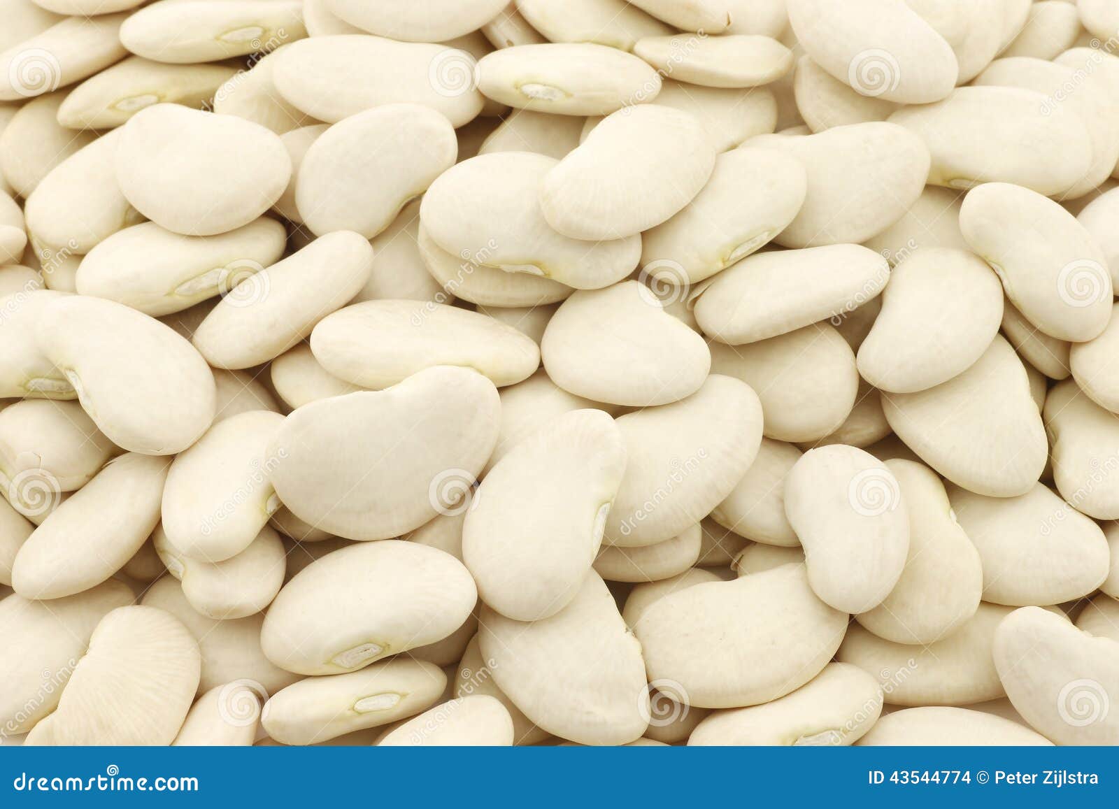 Butter Beans Royalty-Free Stock Photography | CartoonDealer.com #24520169