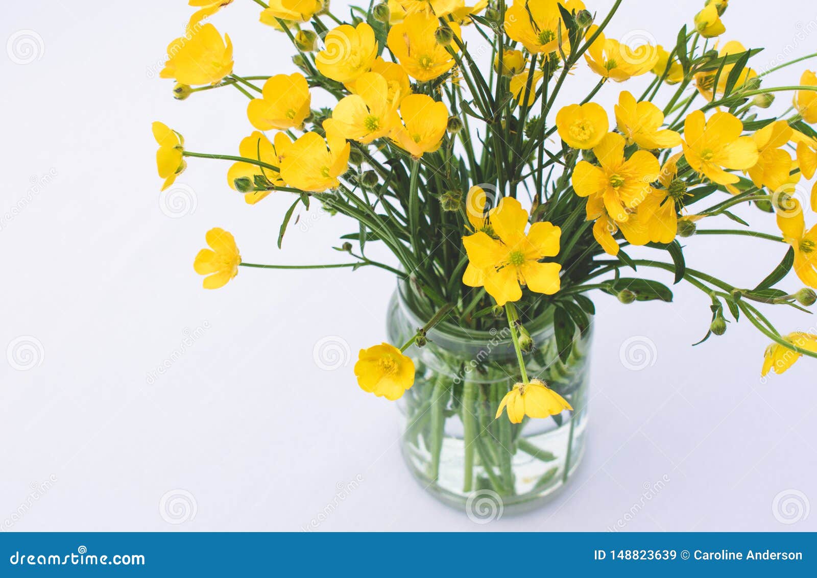 Buttercups in a Glass Jam Jar, White Background Stock Image - Image of ...