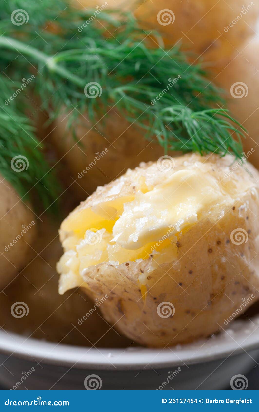 Buttered New Potatoes stock photo. Image of potatoes - 26127454