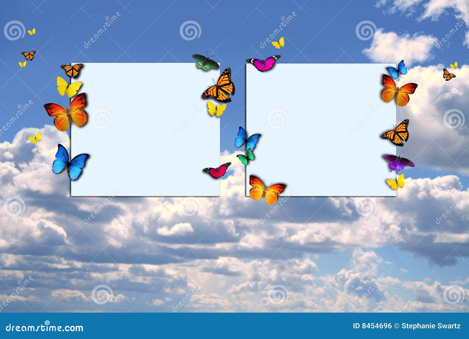 Butterflies blank signs stock photo. Image of border, basic - 8454696