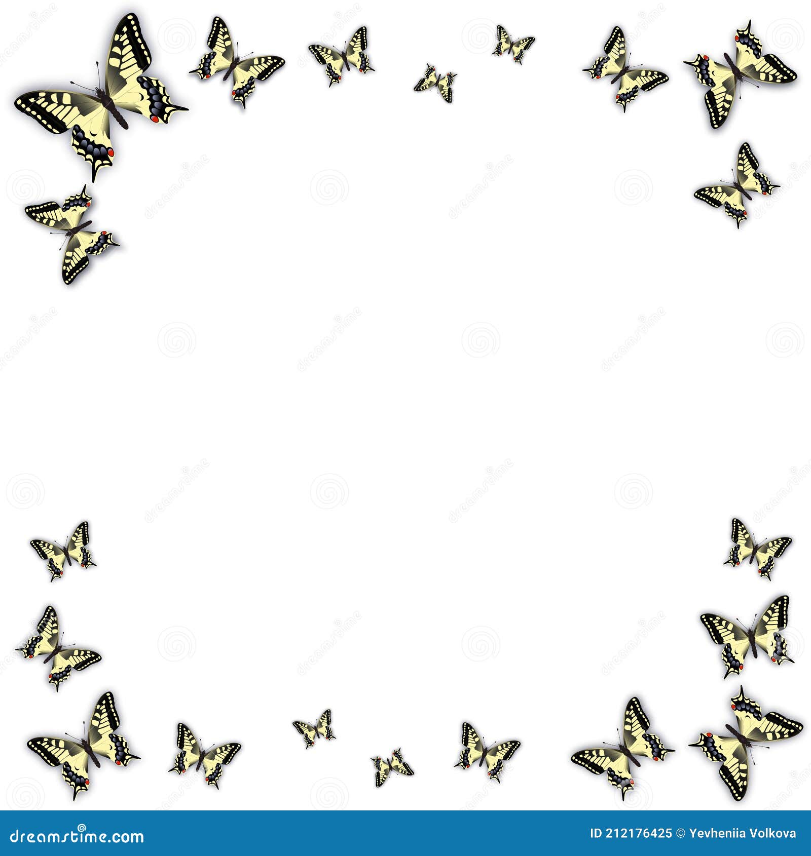 Butterfly Vector Border