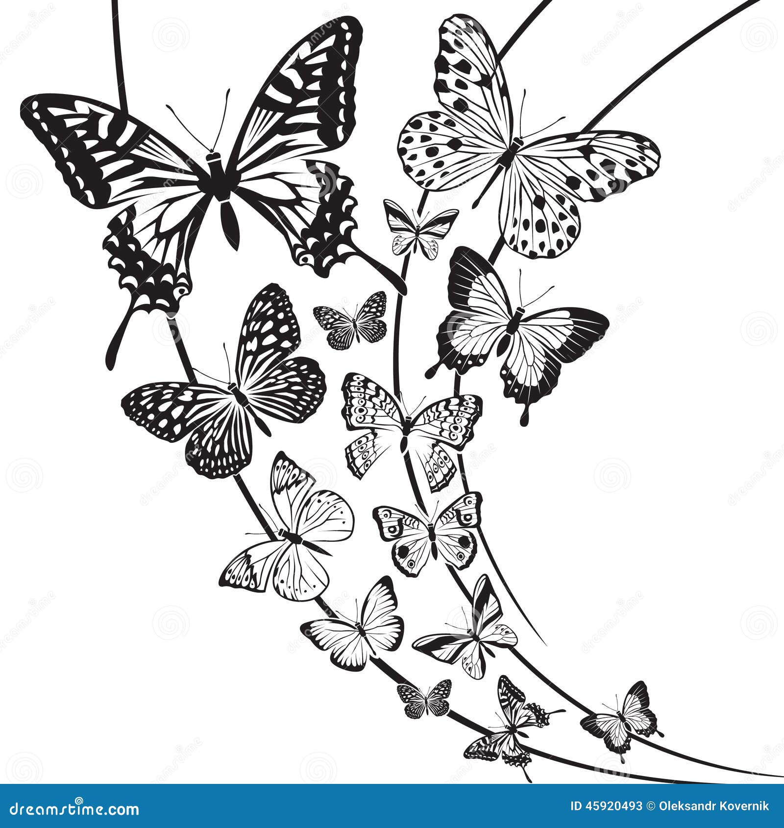 Butterflies Design. Set Of Butterflies Silhouettes In Monochrome Style ...