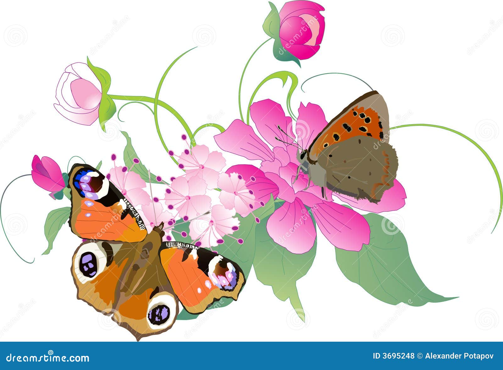 Butterflies on Flowers Illustration Stock Illustration - Illustration ...