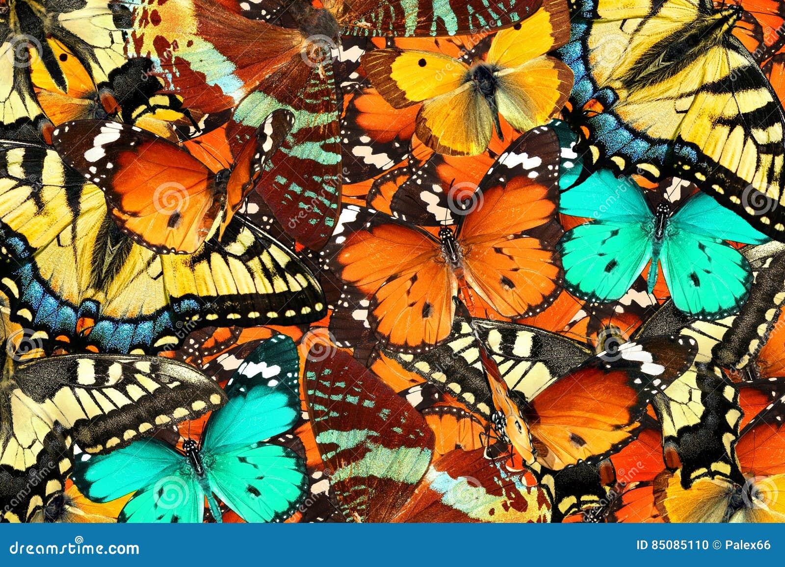 Butterflies Magic World Royalty-Free Stock Photography | CartoonDealer ...