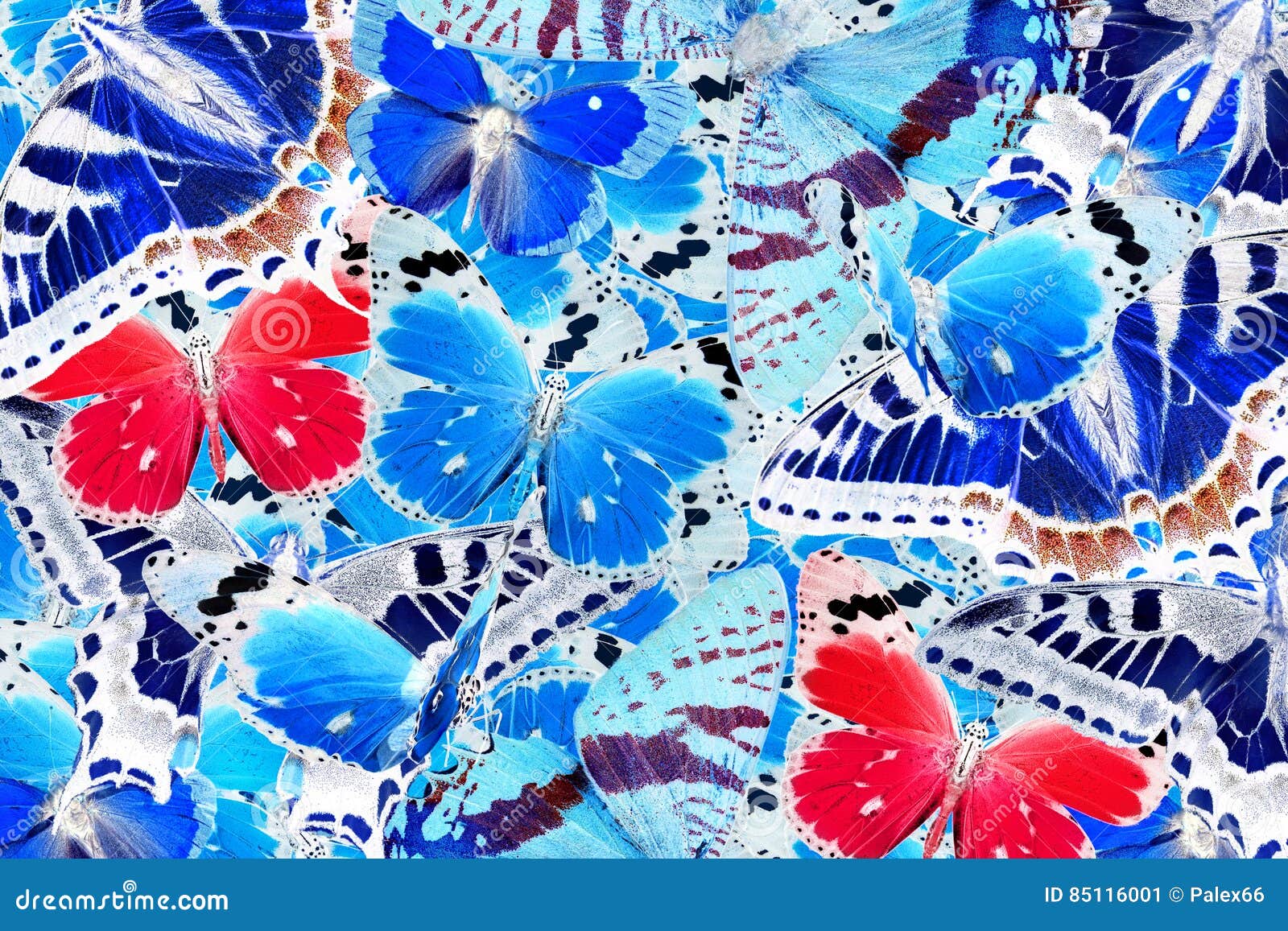 Butterflies magic world stock illustration. Illustration of entomology ...