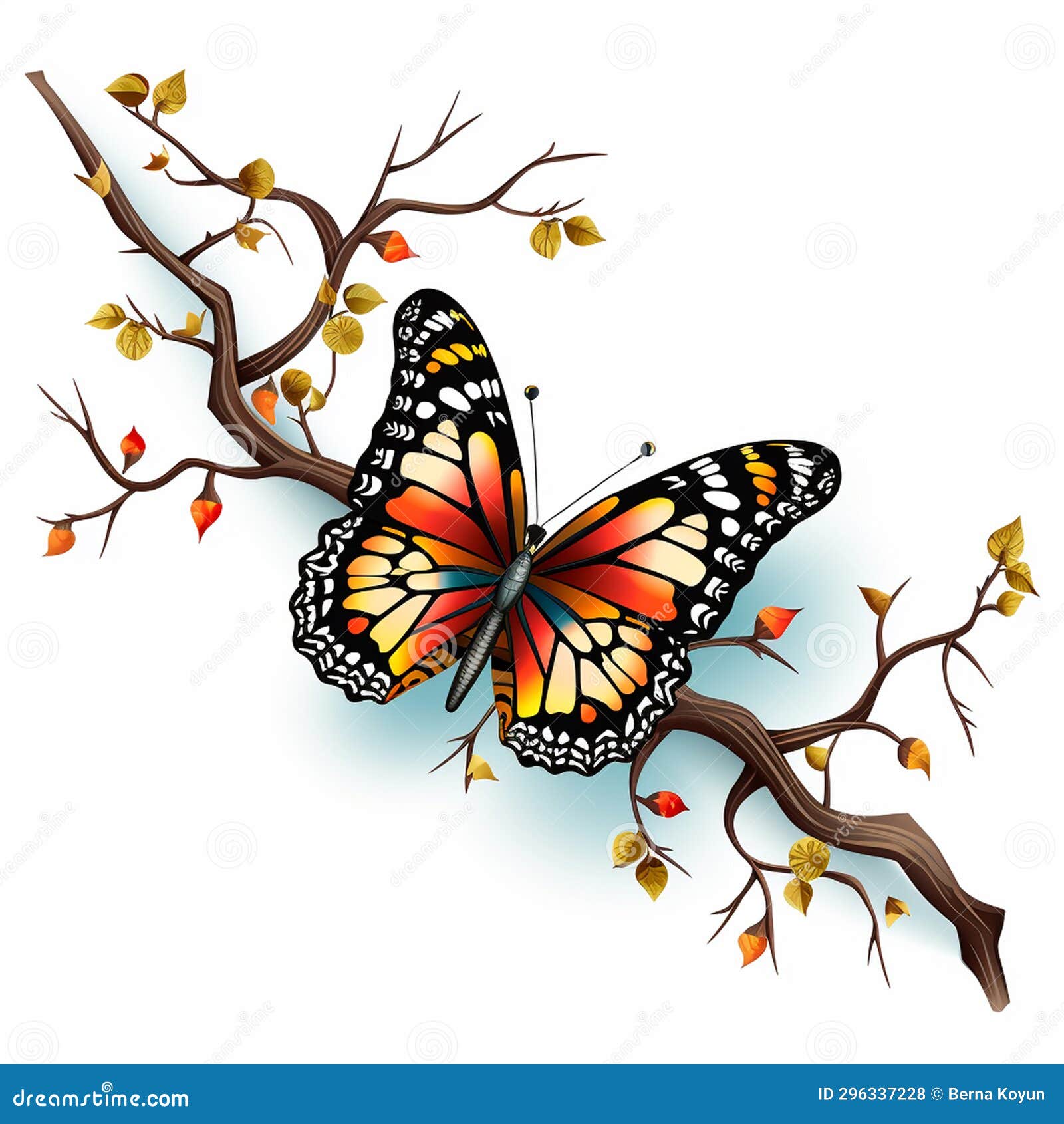 Butterflies in Nature a Reminder of the Importance of Conservation ...