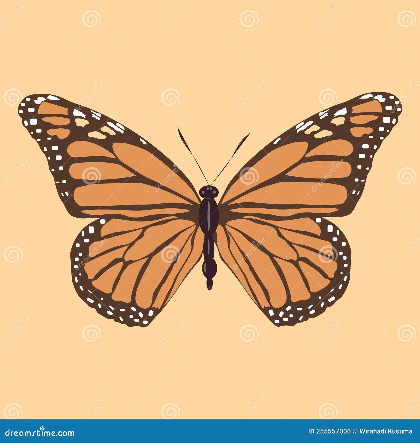 One of the Types of Butterflies that Live in the Wild Stock Vector ...