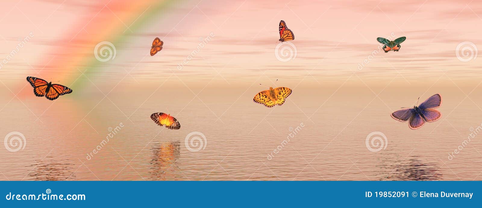 Butterflies and rainbow stock illustration. Illustration of festive ...
